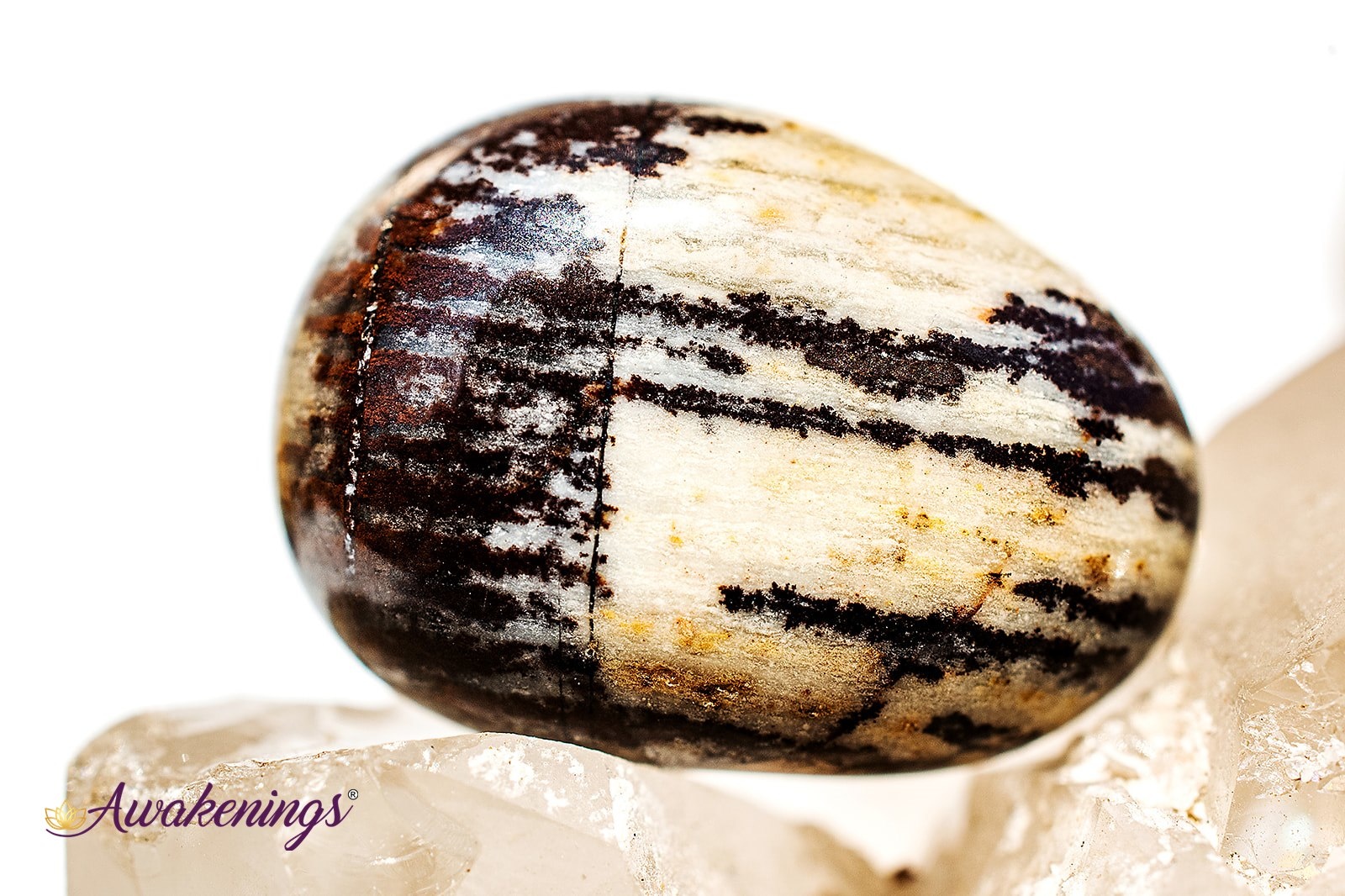 Bamboo Leaf Agate - Tumbled - Awakenings