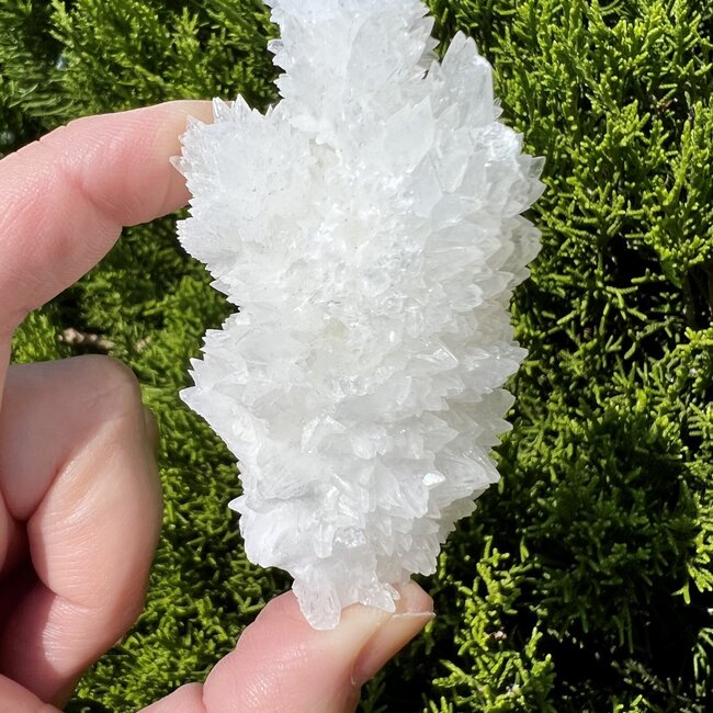 Snow White Aragonite Clusters- Medium (3-4") - Awakenings