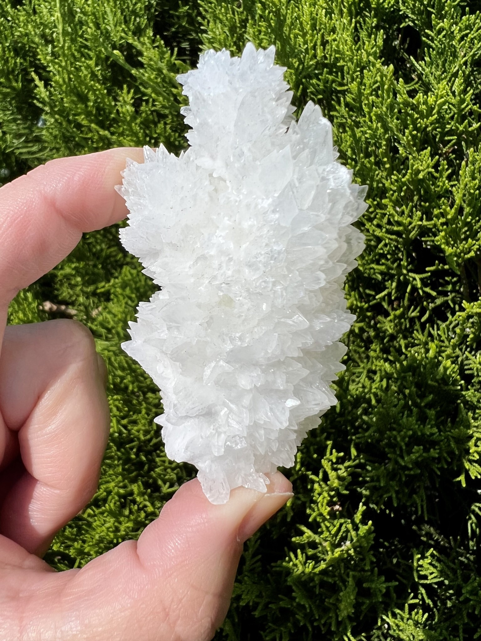 Snow White Aragonite Clusters- Medium (3-4