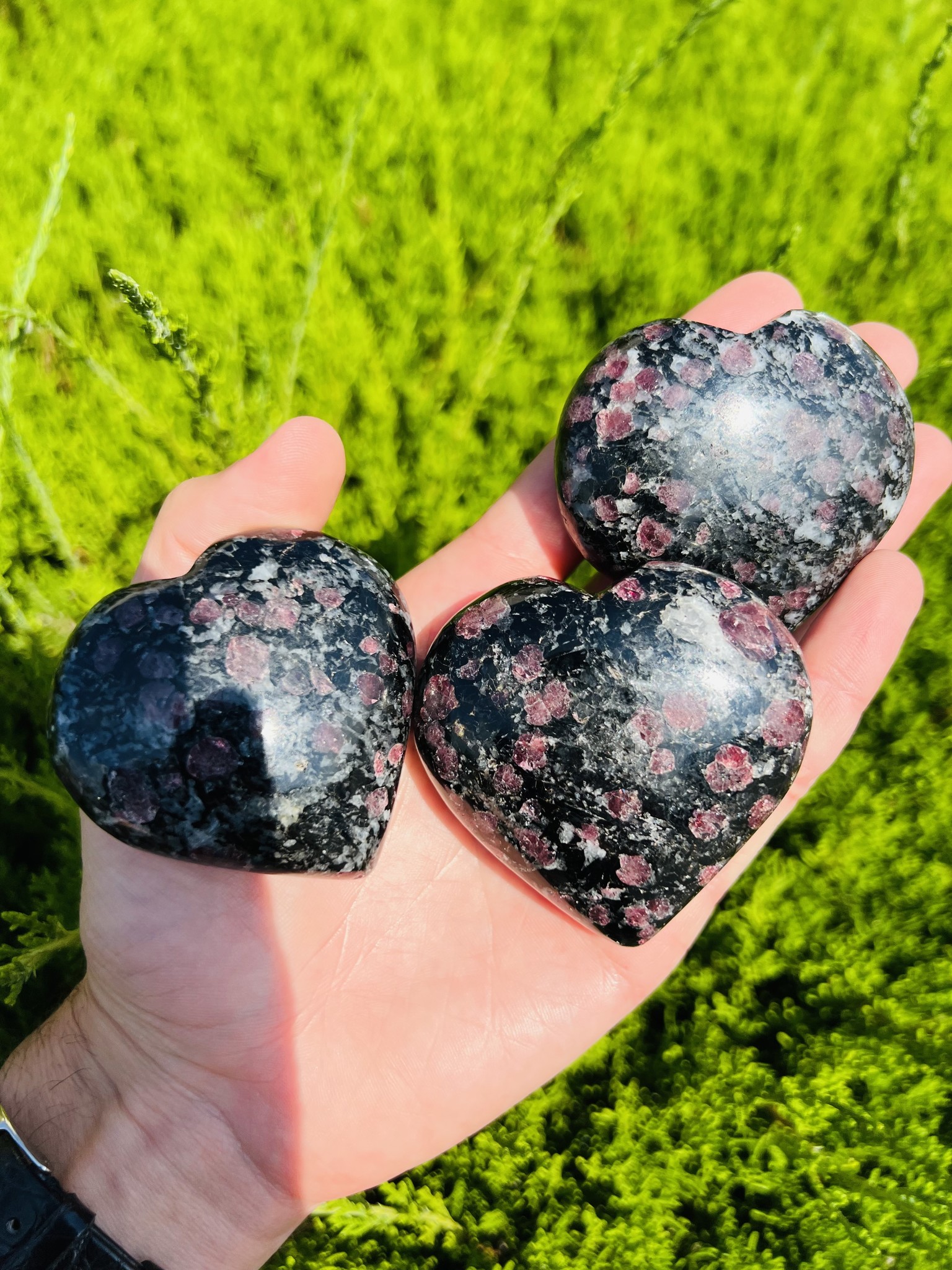 Garnet in Biotite - Heart (Large) - Awakenings