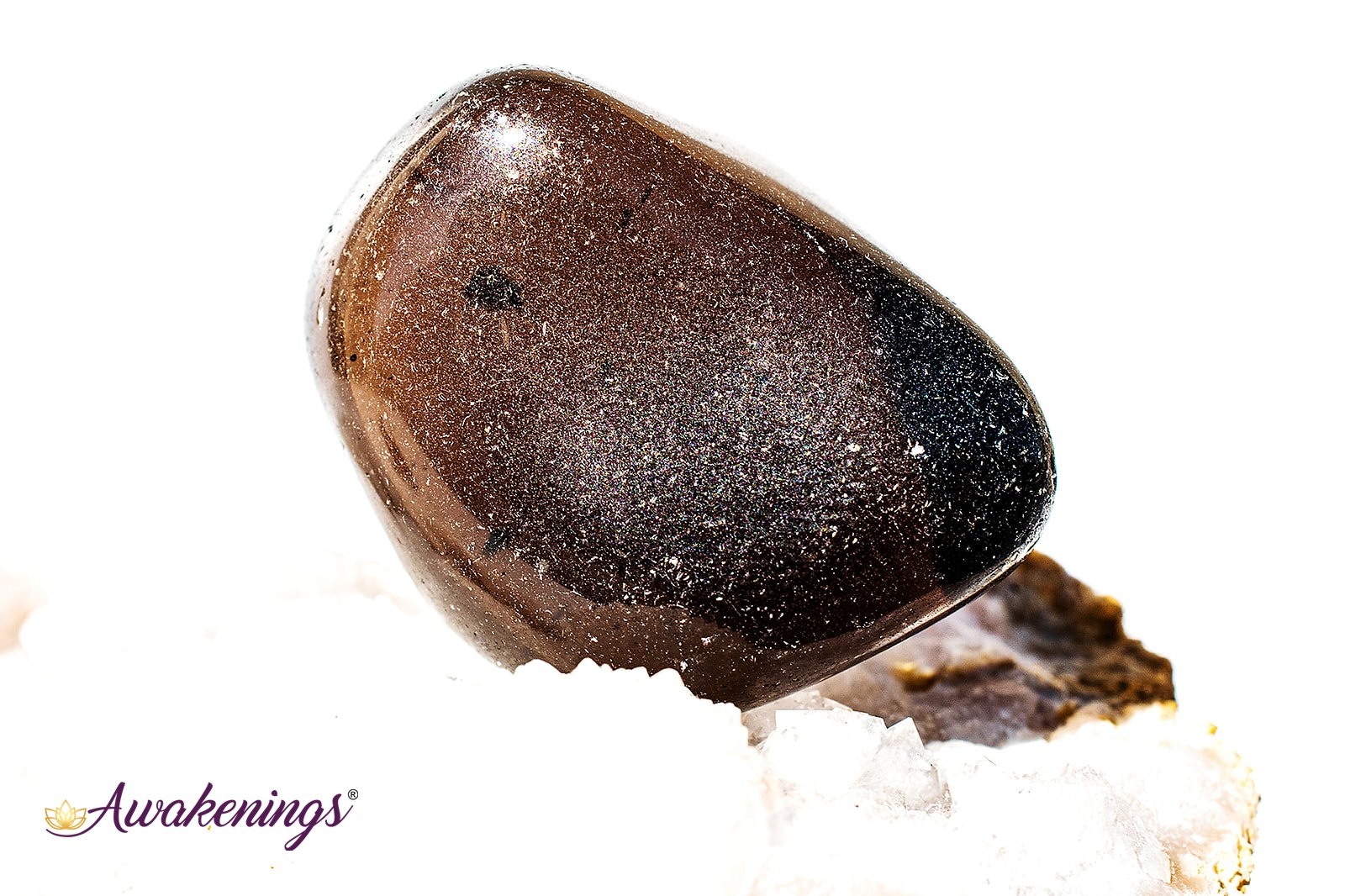 Apache Tear - Tumbled (Smooth) - Awakenings