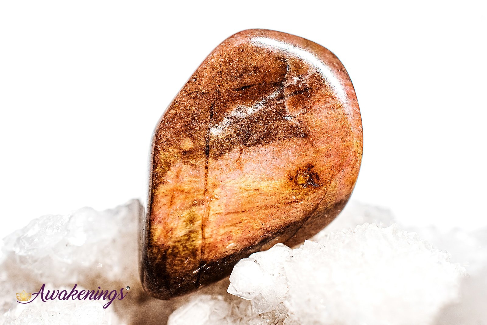 Bustamite - Awakenings