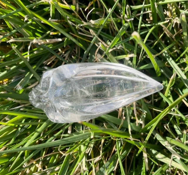Clear Quartz Crystal Long Skull - Awakenings