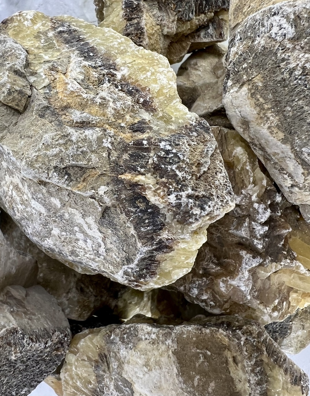 Septarian Large - Rough Raw Natural - Awakenings