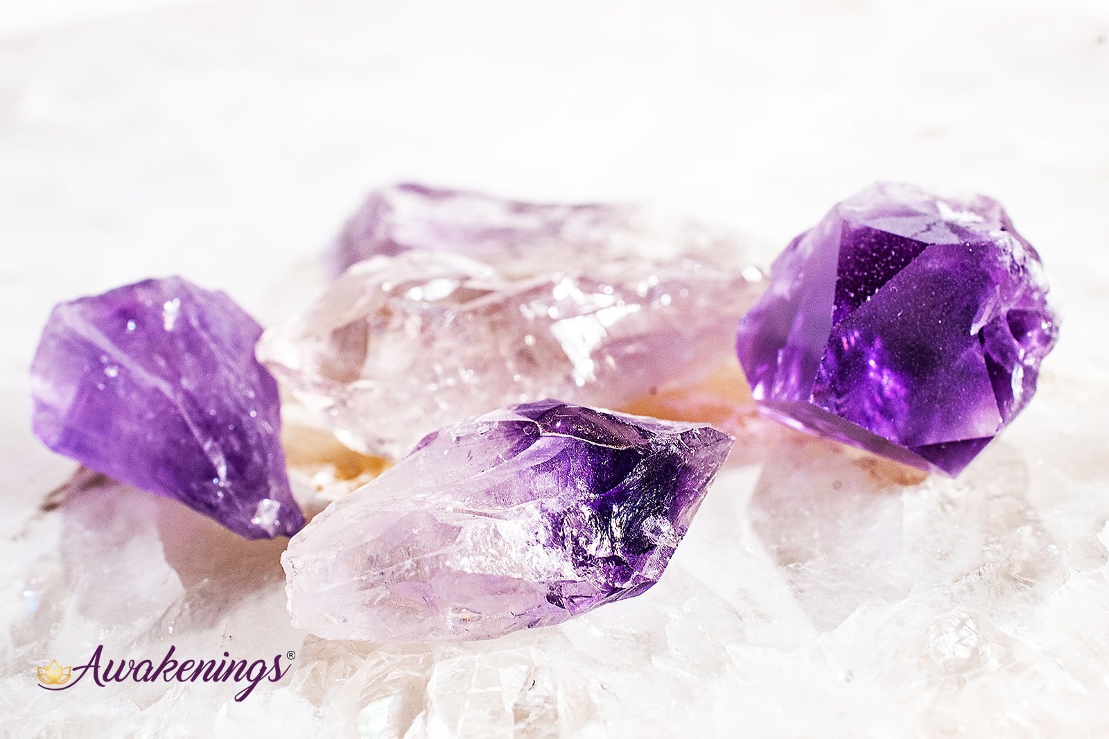 Amethyst Point (Dragons Tooth Teeth Root) - Small Rough Raw Natural ...