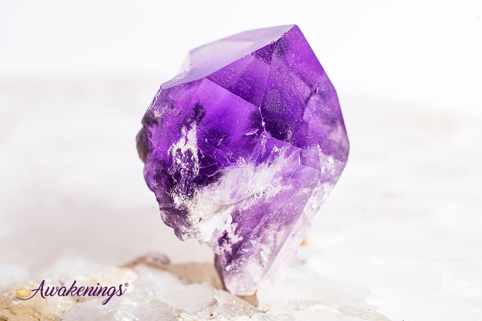 Amethyst Point (Dragons Tooth Teeth Root) - Small Rough Raw Natural ...