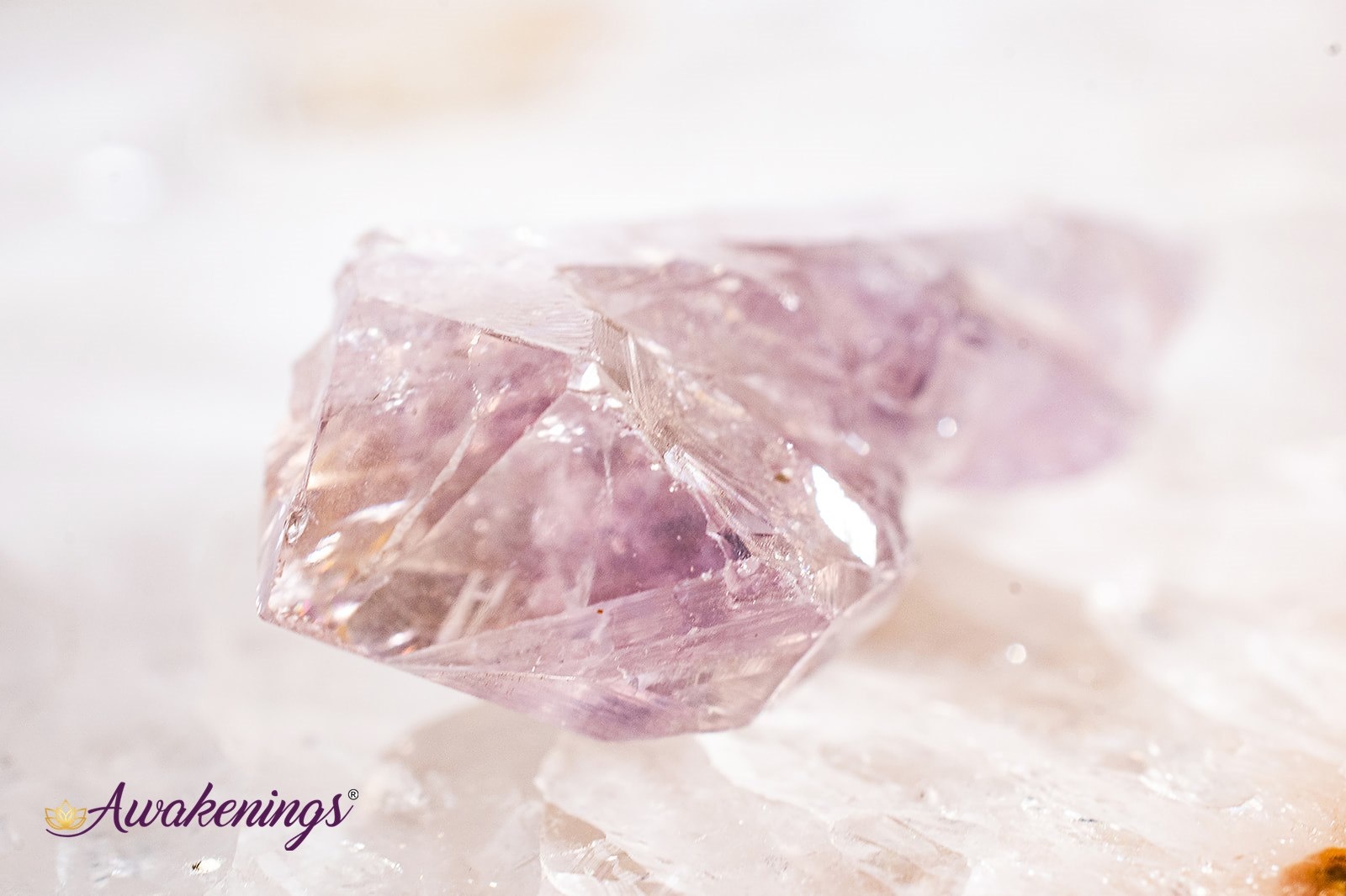 Amethyst Point (Dragons Tooth Teeth Root) - Small Rough Raw Natural ...