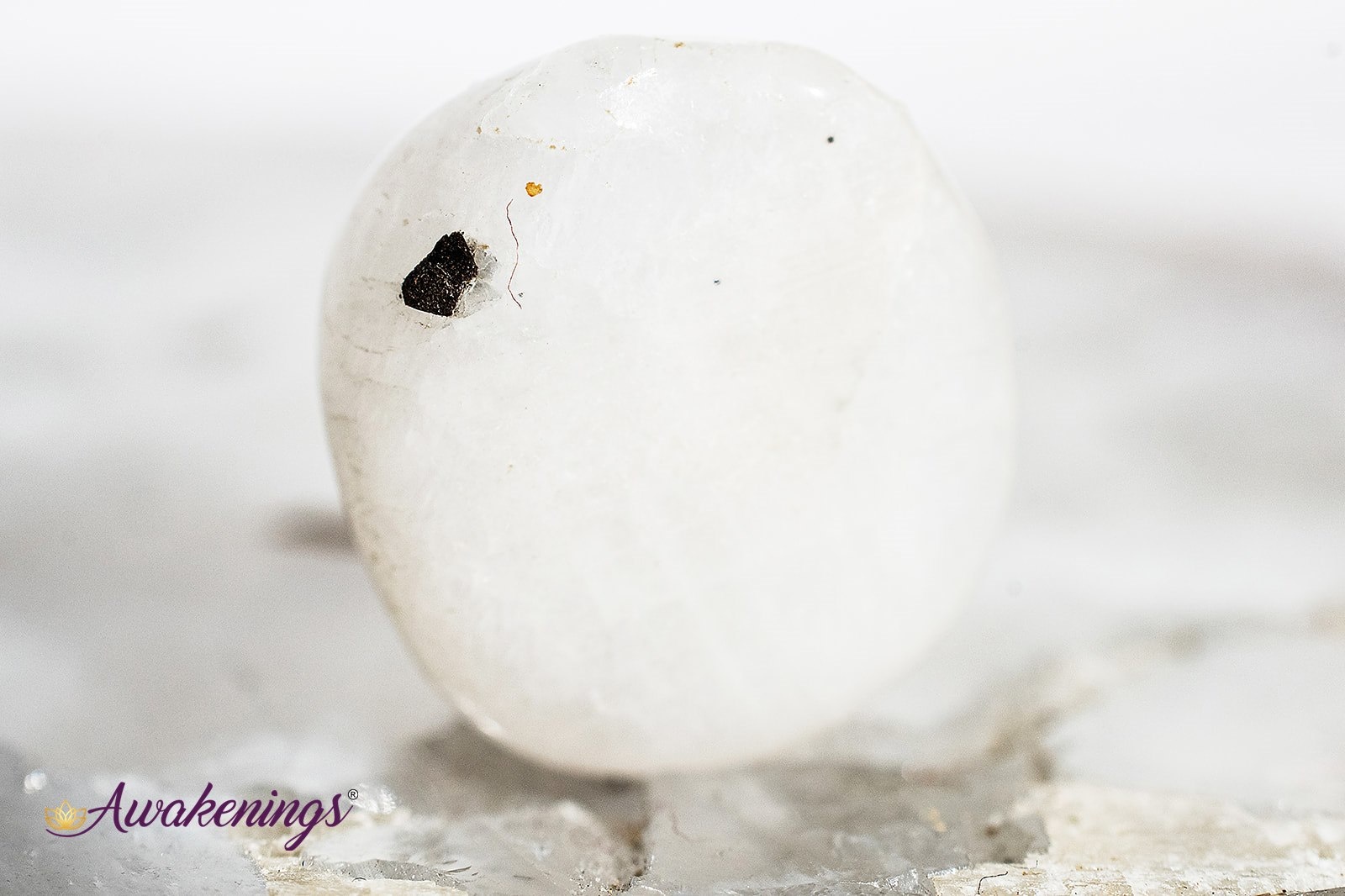 Cryolite - White - Awakenings