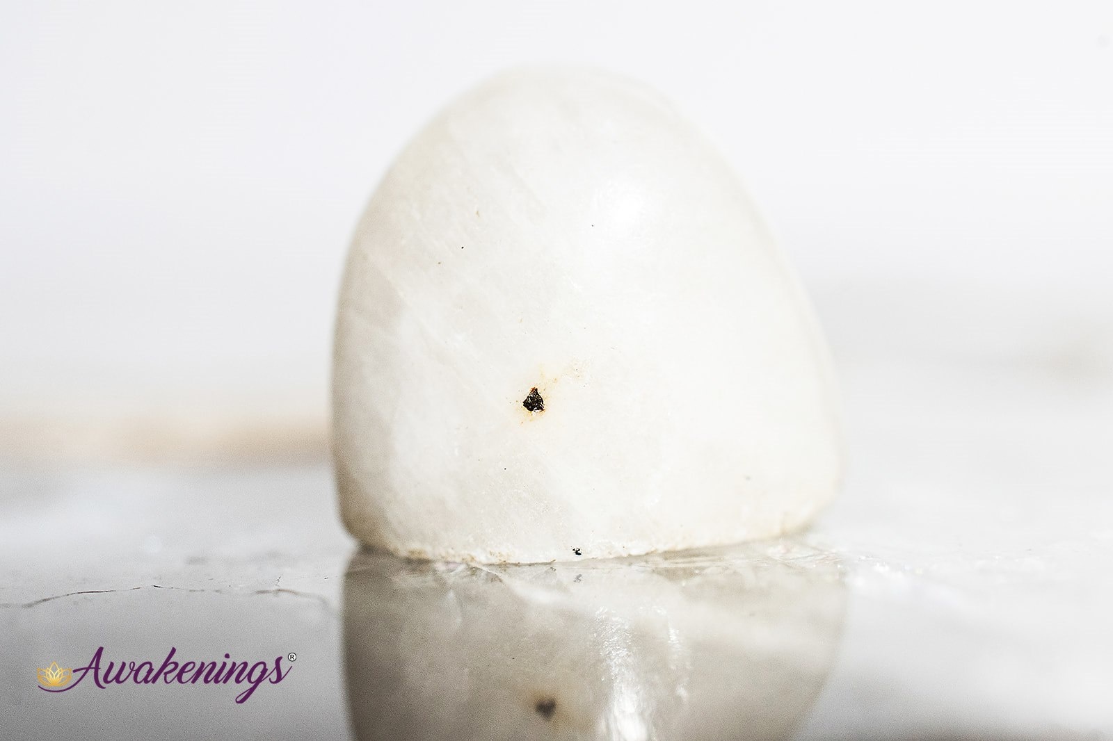 Cryolite - White - Awakenings