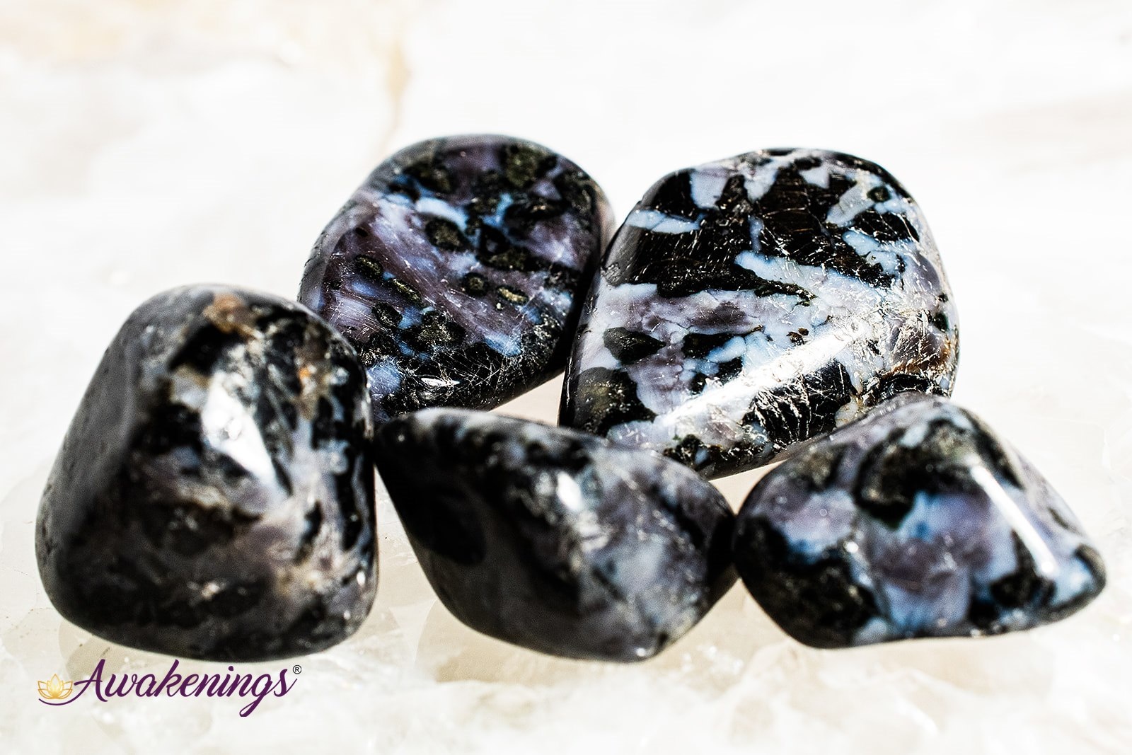 Indigo Gabbro (Mystic Merlinite) - Tumbled - Awakenings
