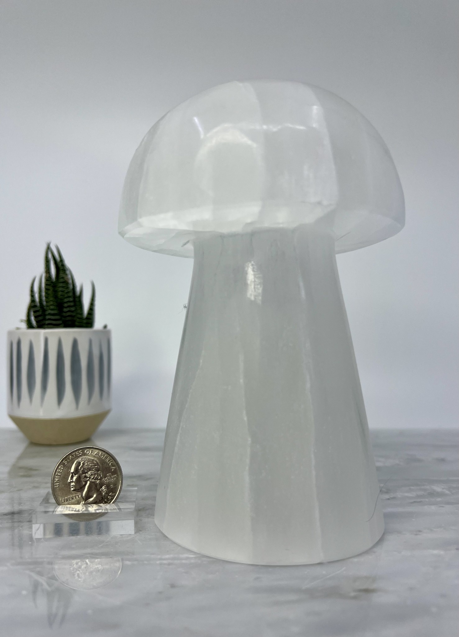 Selenite (Satin Spar Gypsum) Mushroom Lamp Light - 6" (Cord & Bulb Inc ...