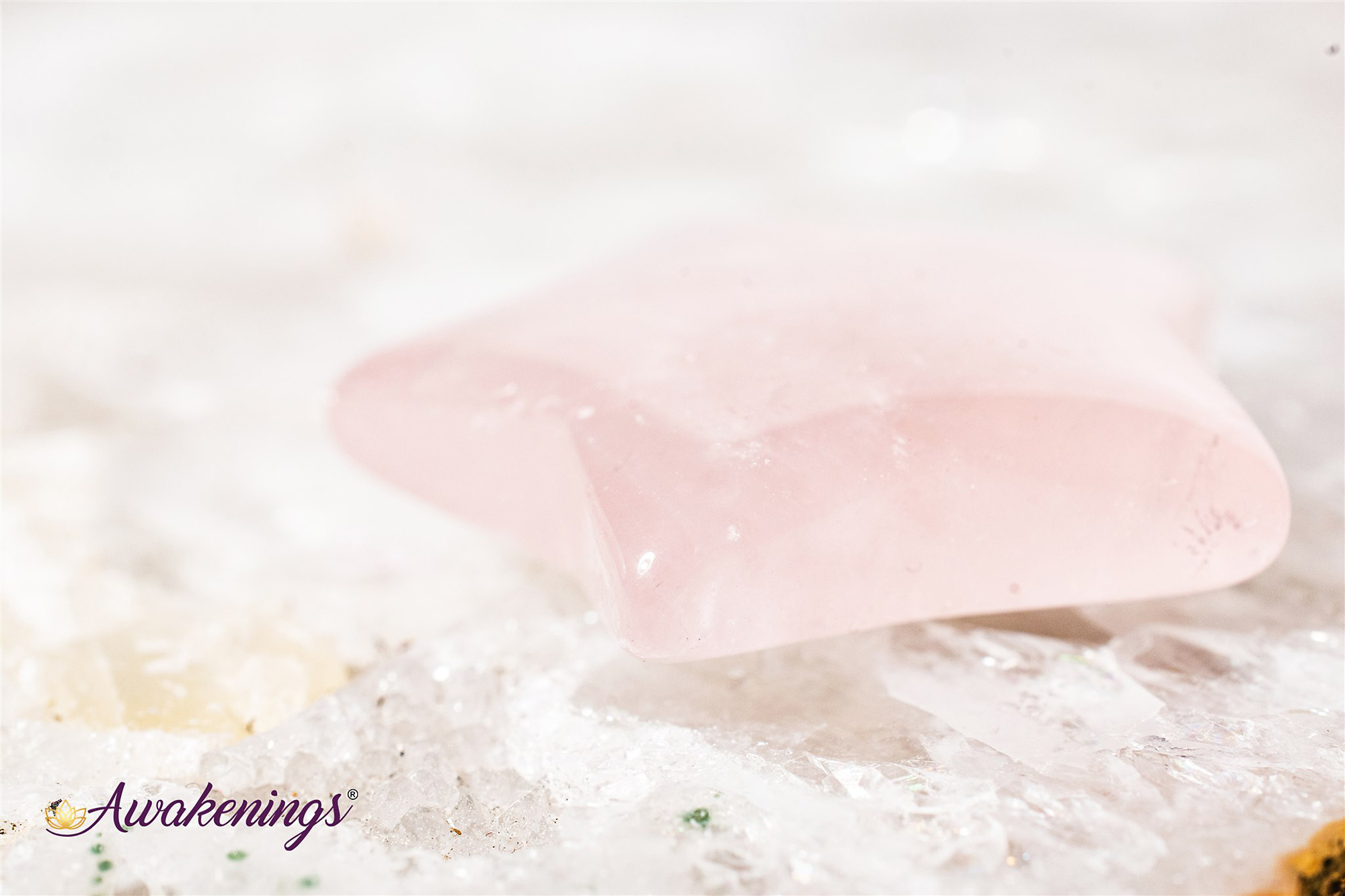 Rose Quartz Stars - Medium Carving - Awakenings