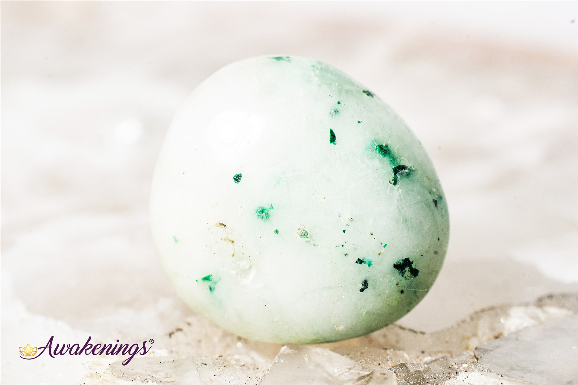 Phoenix Stone Pine - Tumbled - Awakenings