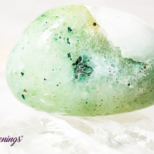 Phoenix Stone Pine - Tumbled - Awakenings