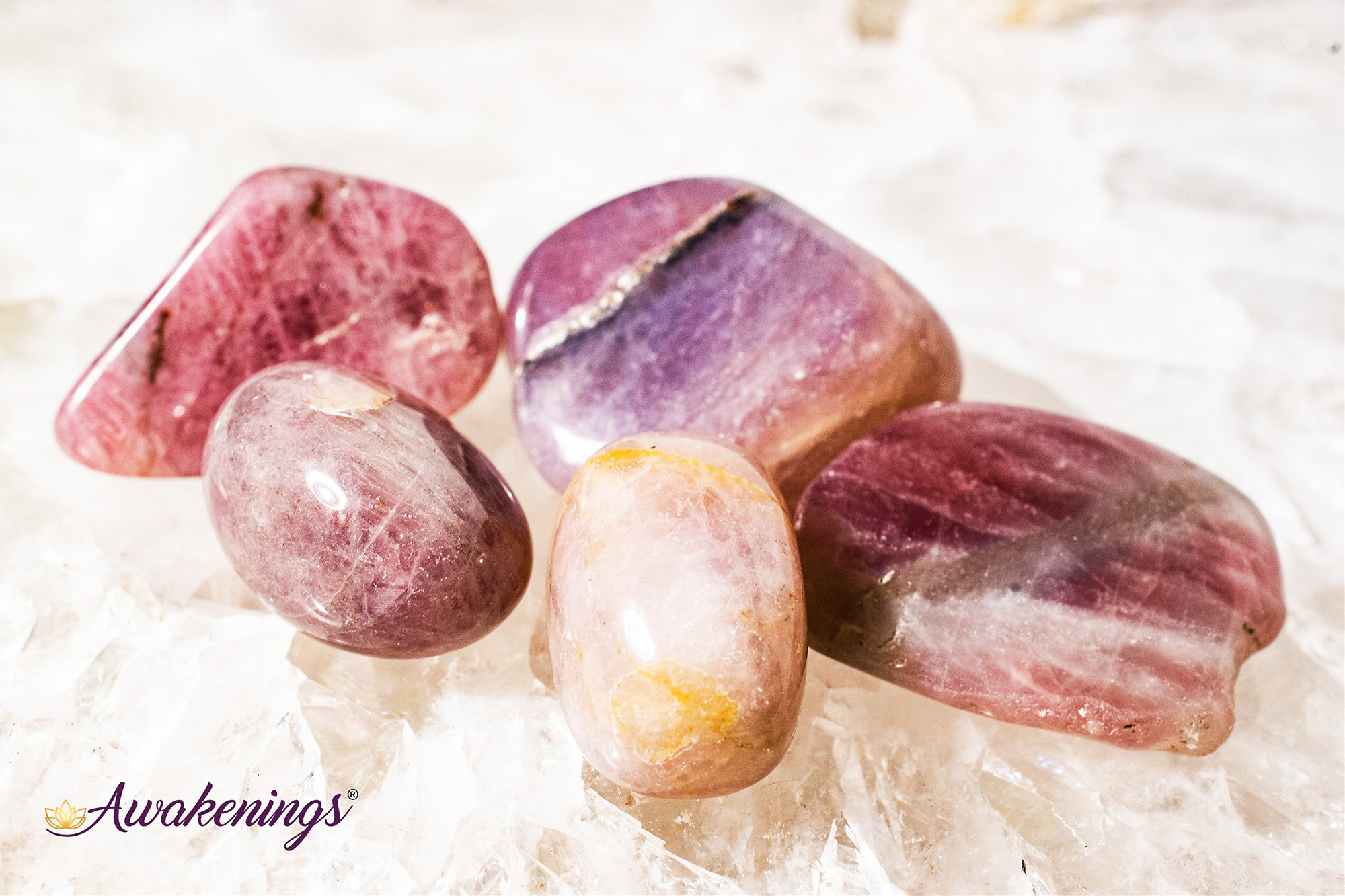 Purple Rose Quartz - Tumbled - Awakenings