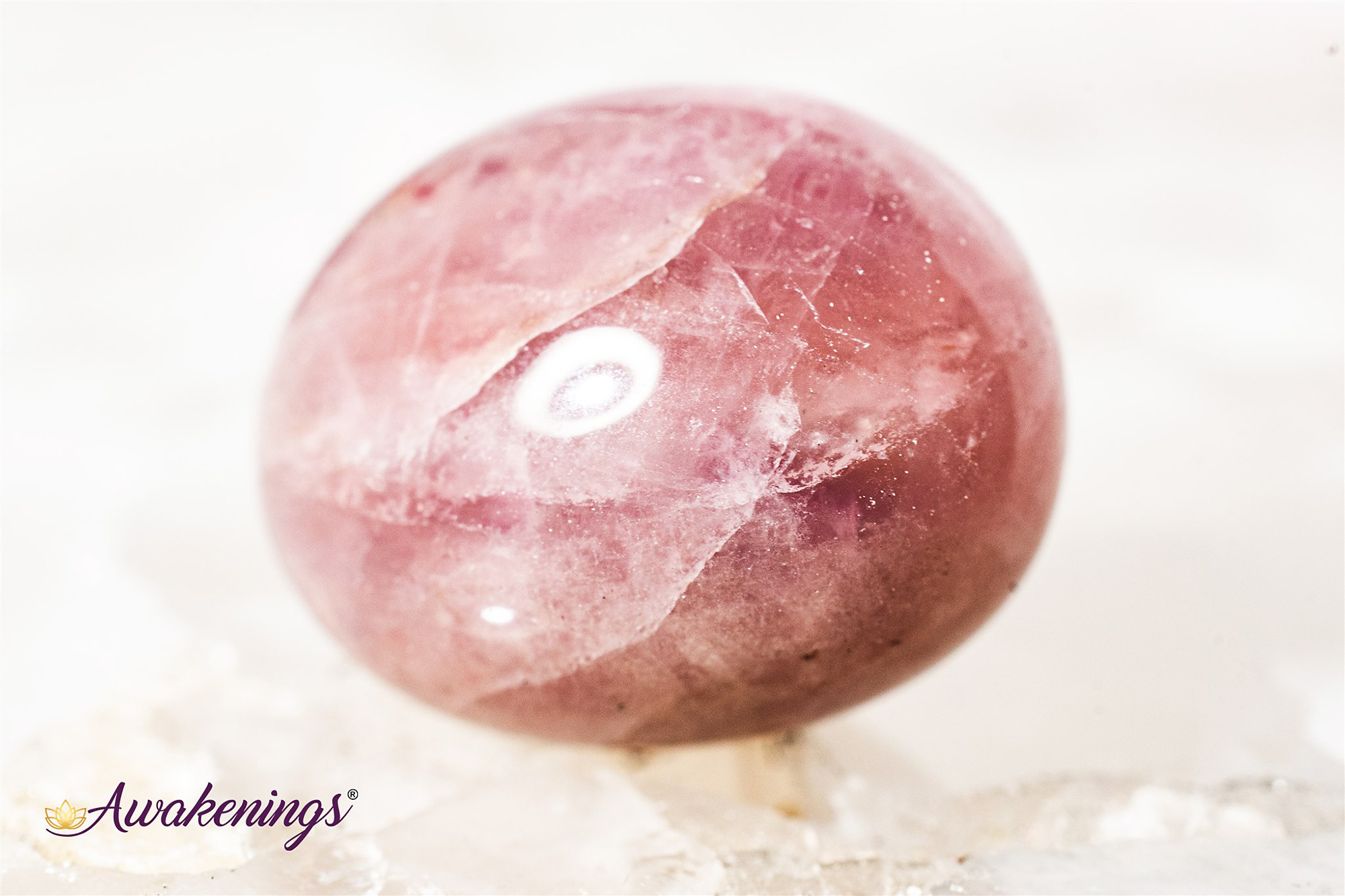 Purple Rose Quartz - Tumbled - Awakenings
