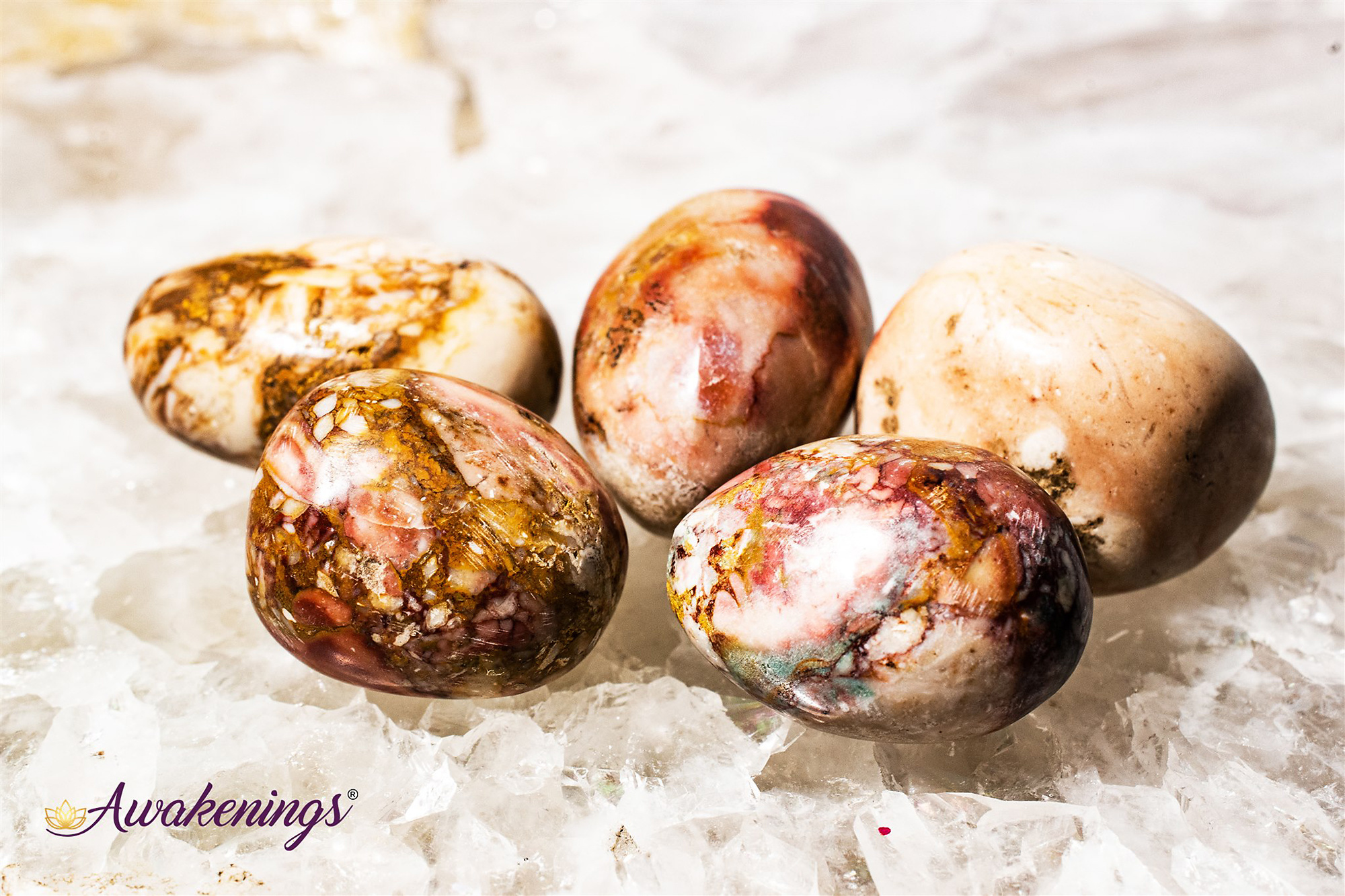 Rose Jasper - Awakenings