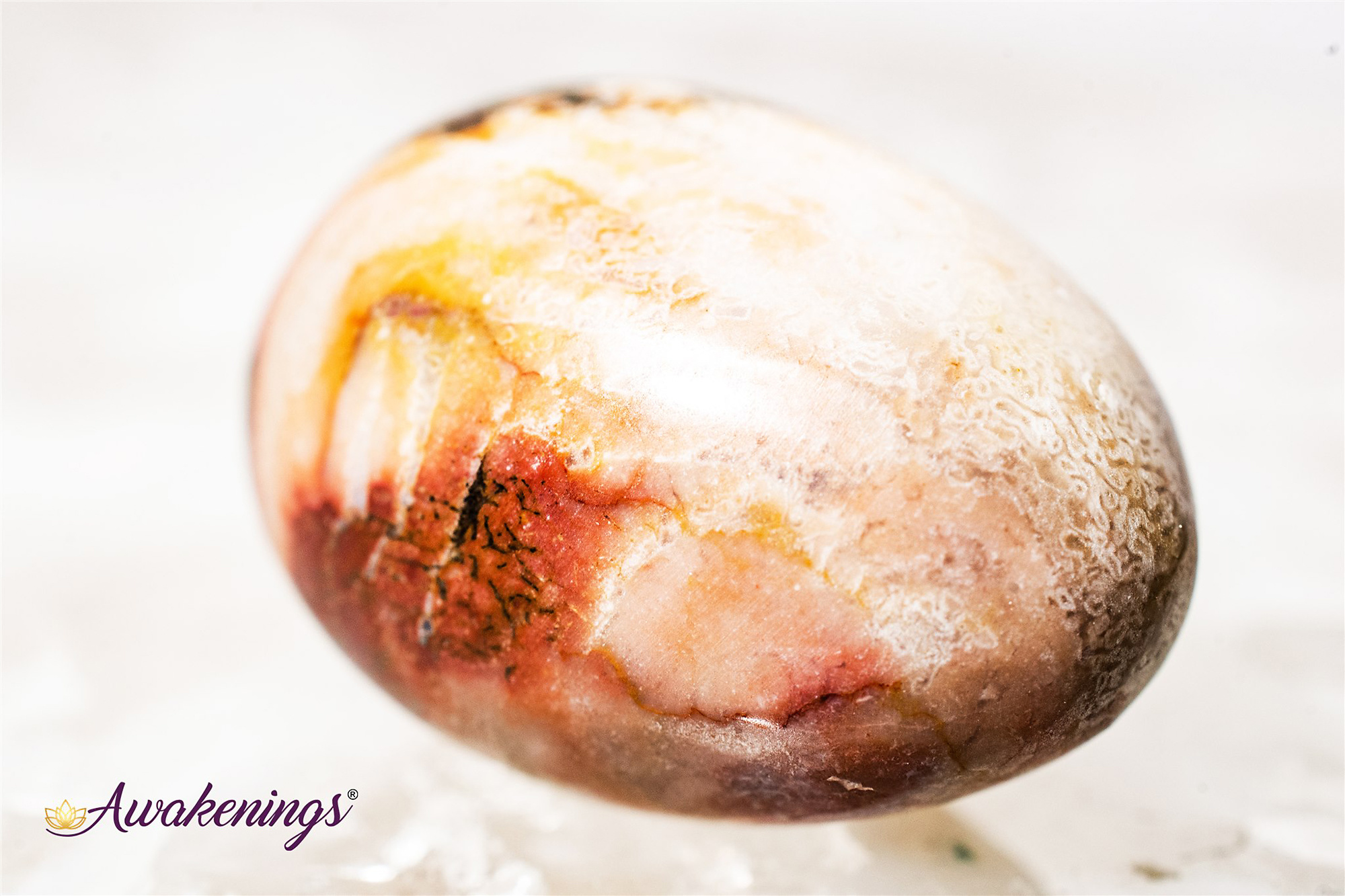 Rose Jasper - Awakenings