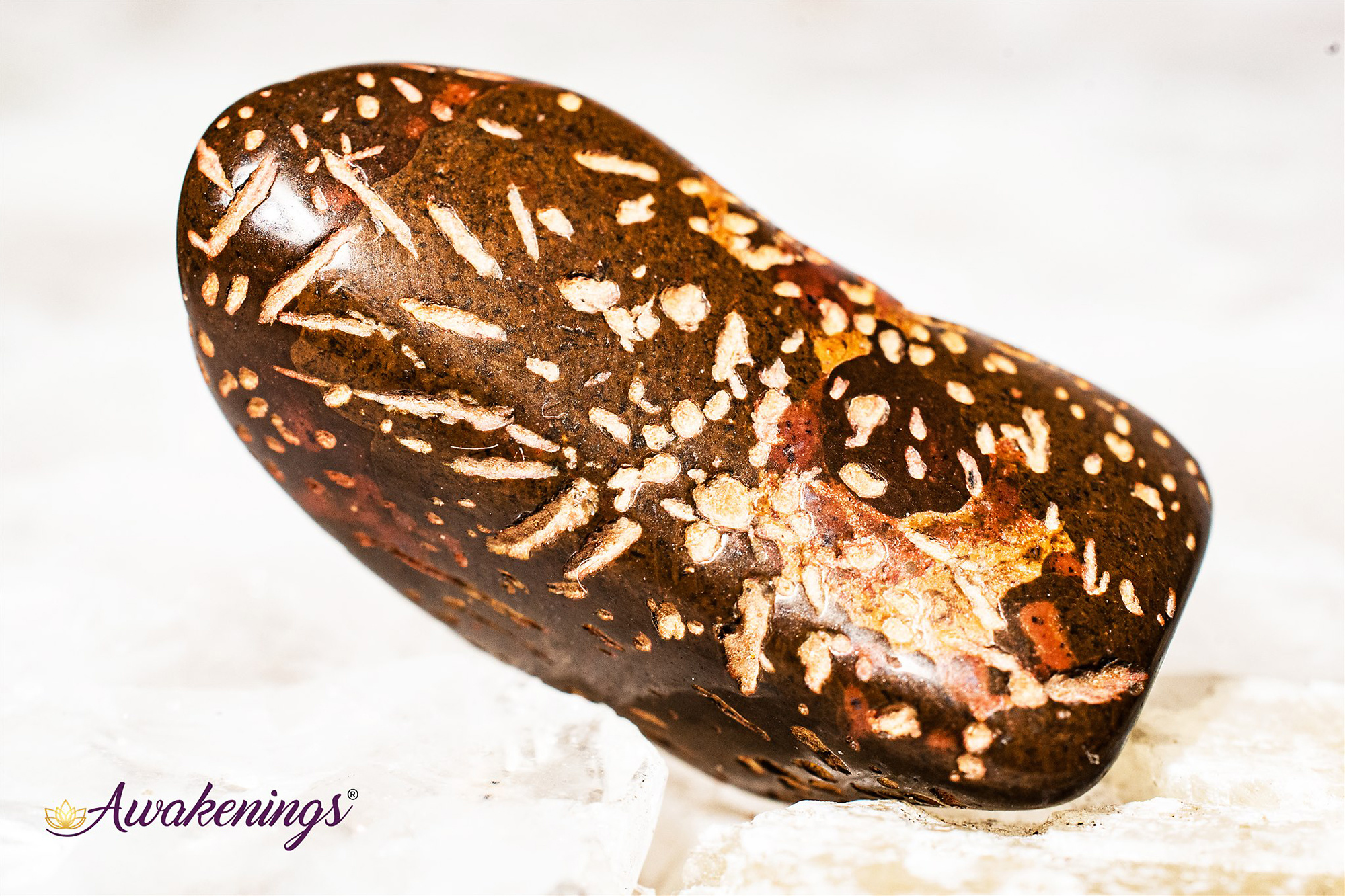 Star Jasper - Awakenings