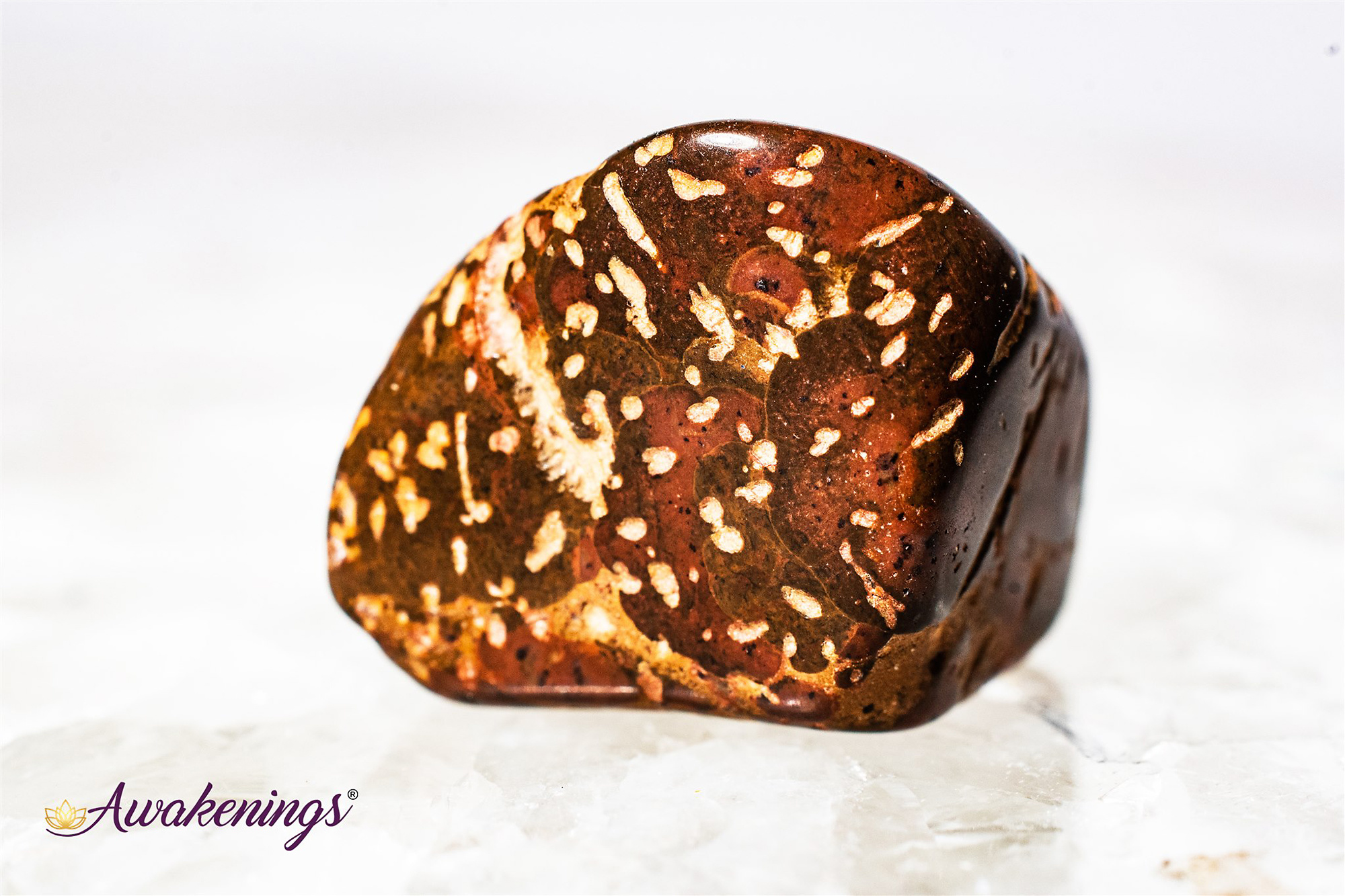 Star Jasper - Awakenings