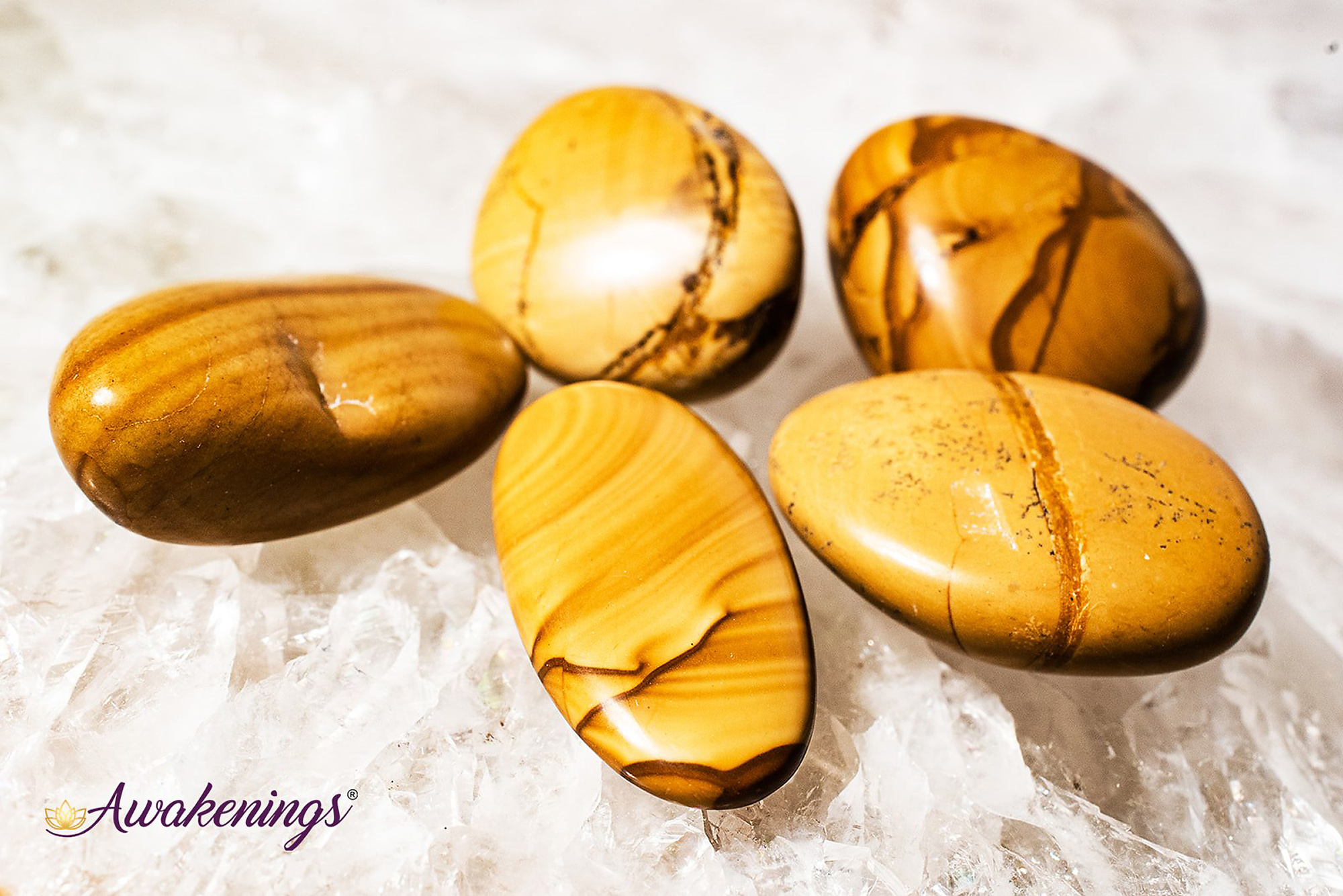 Walnut Jasper Tumbled - Awakenings