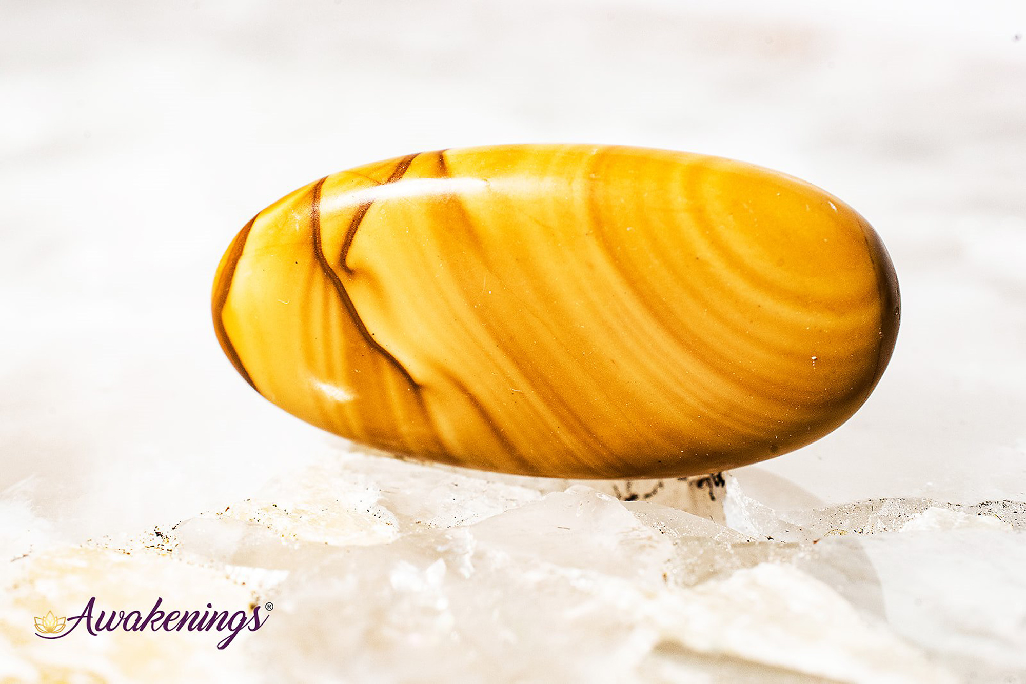 Walnut Jasper Tumbled - Awakenings