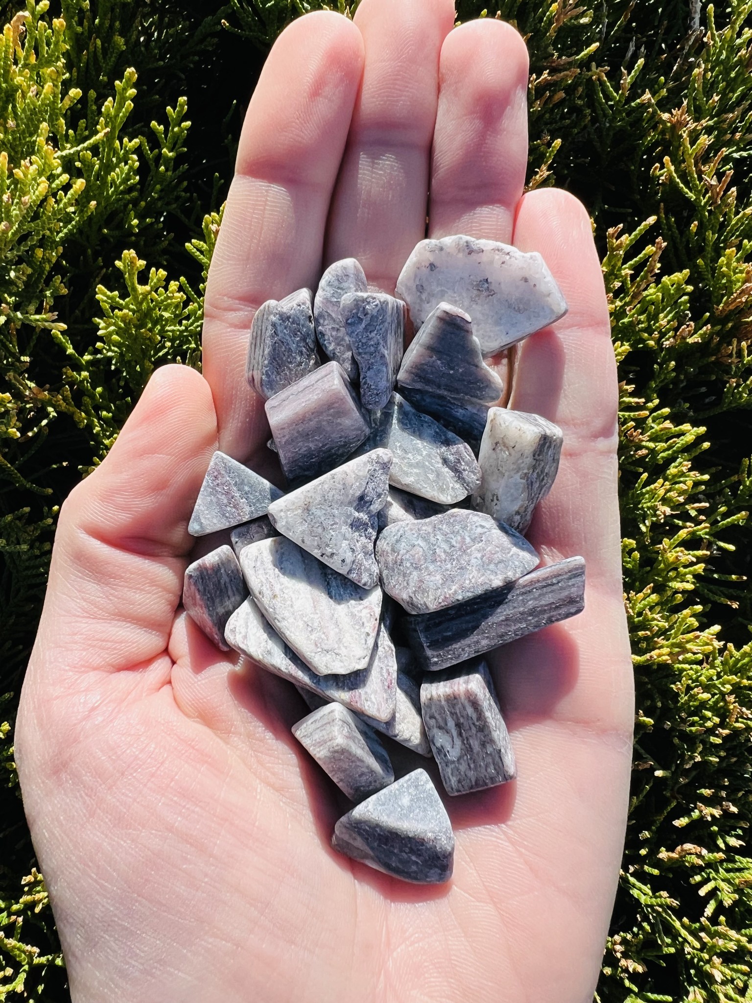 Vitalite - Tumbled - Awakenings