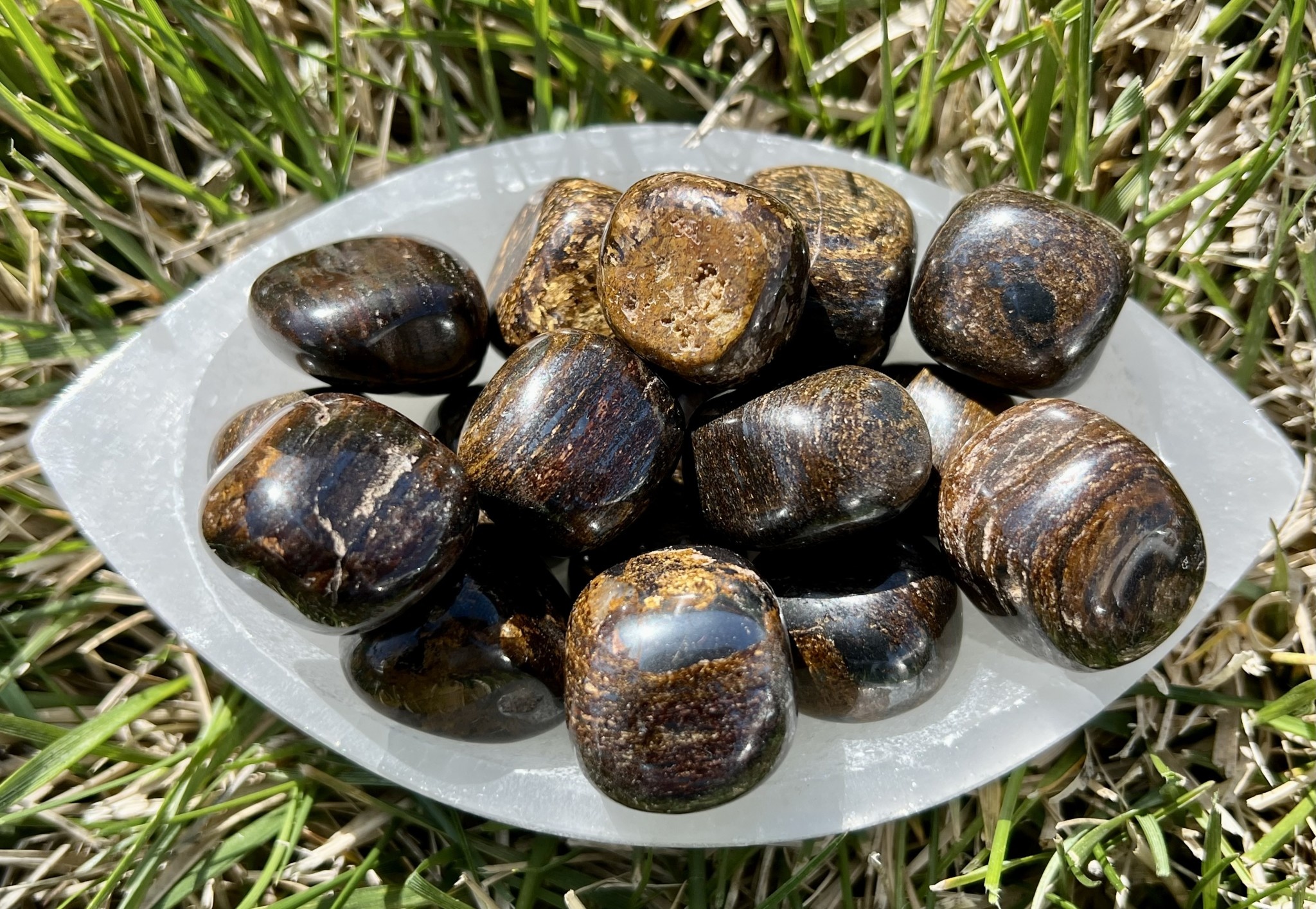 Bronzite - Large Tumbled - Awakenings