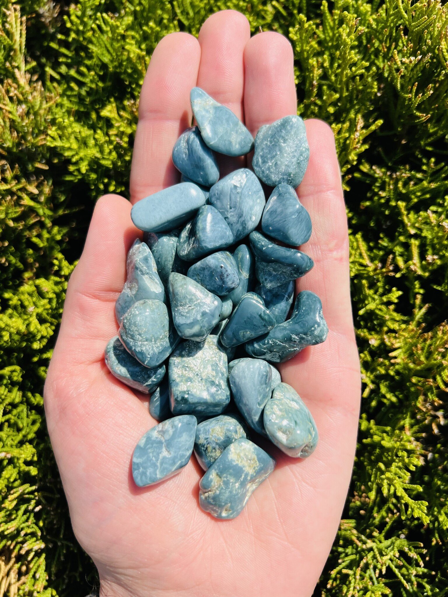 Dianite (Blue Jade) - Tumbled - Awakenings