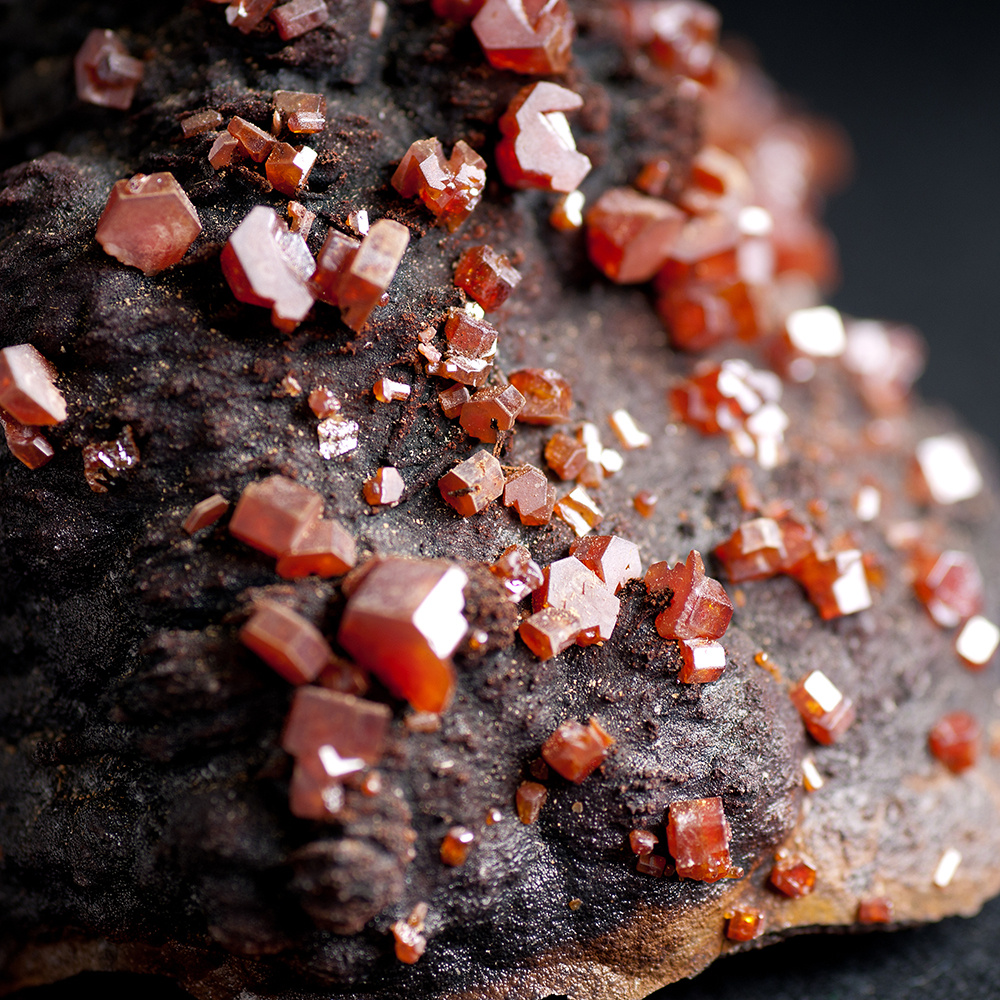 Rare & Exotic Gems - Awakenings