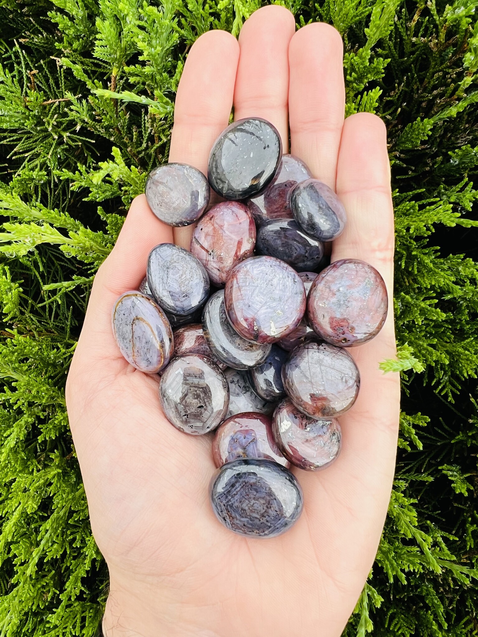 Ruby & Sapphire (AAA) - Tumbled - Awakenings