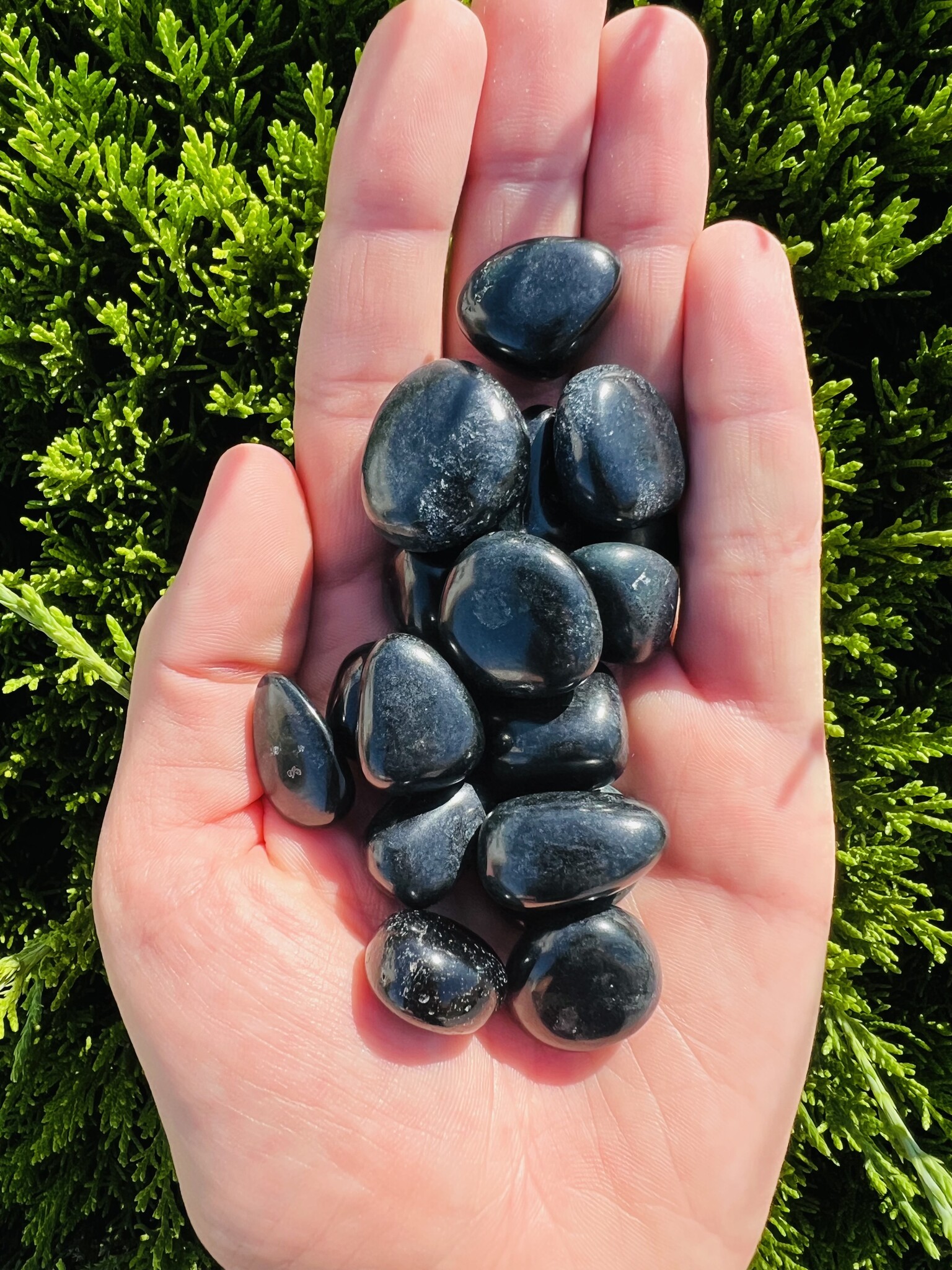 Greenland Black Jadeite Tumbles