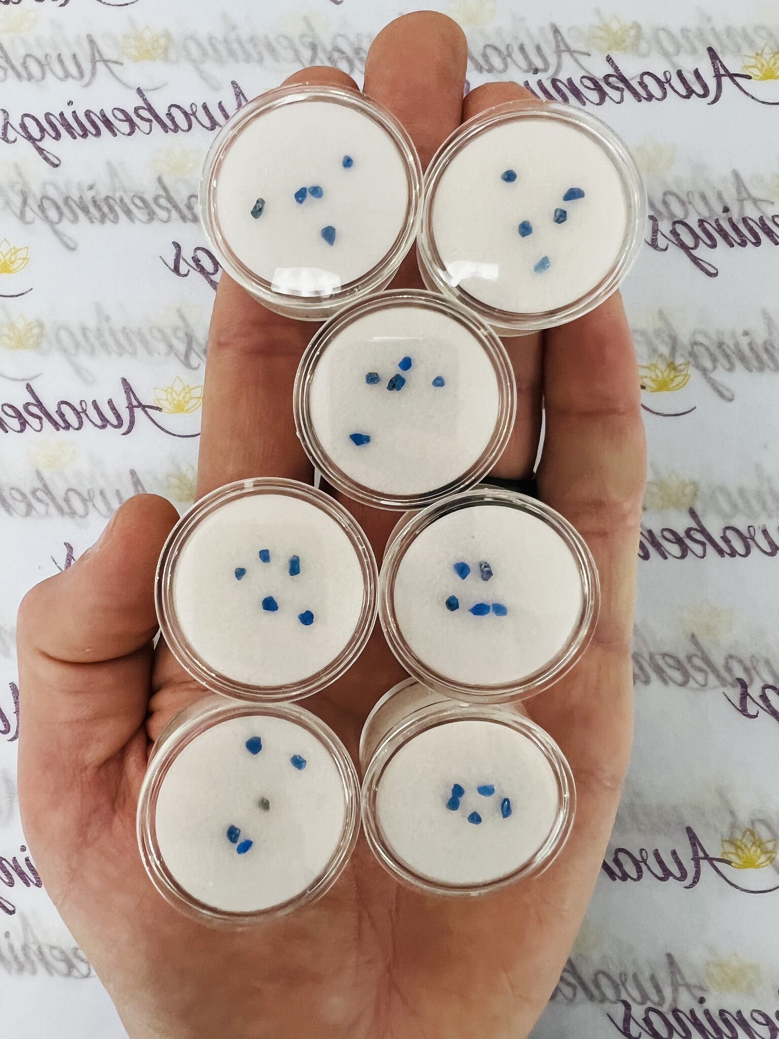 Hauyne Crystal - Rough Raw Natural (Pack of 5) - Awakenings