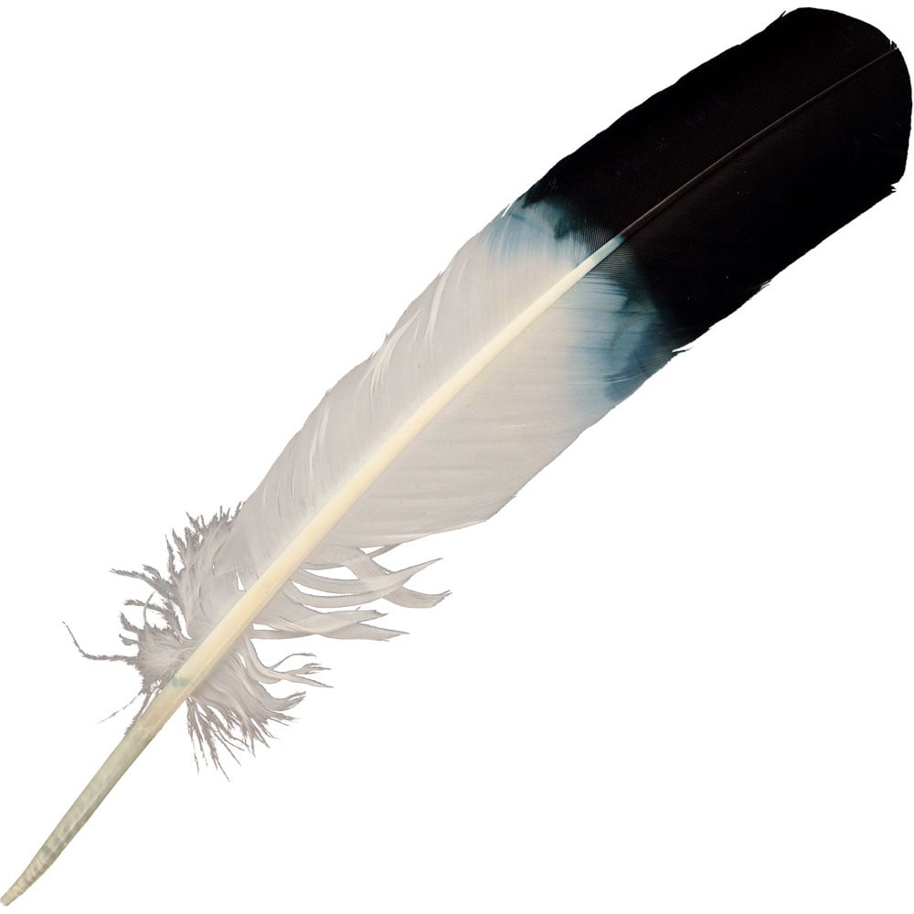 Imitation Eagle Feather for Sage/Smudging - Awakenings