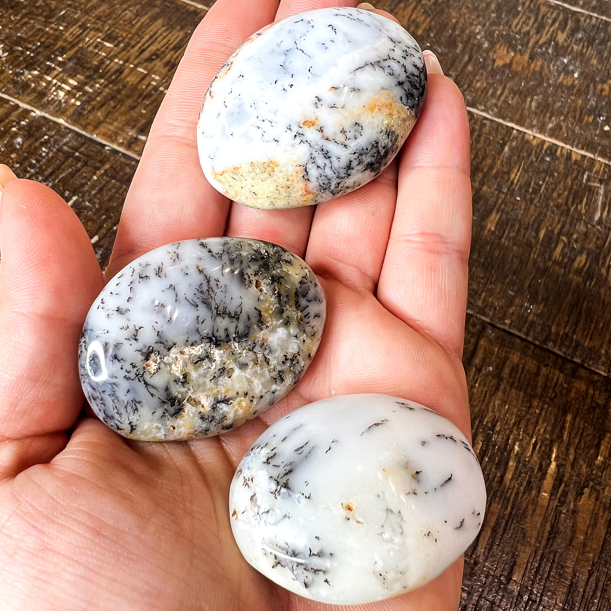 White Dendritic (Dendrite) Palm Pillow Pocket Stones - Awakenings
