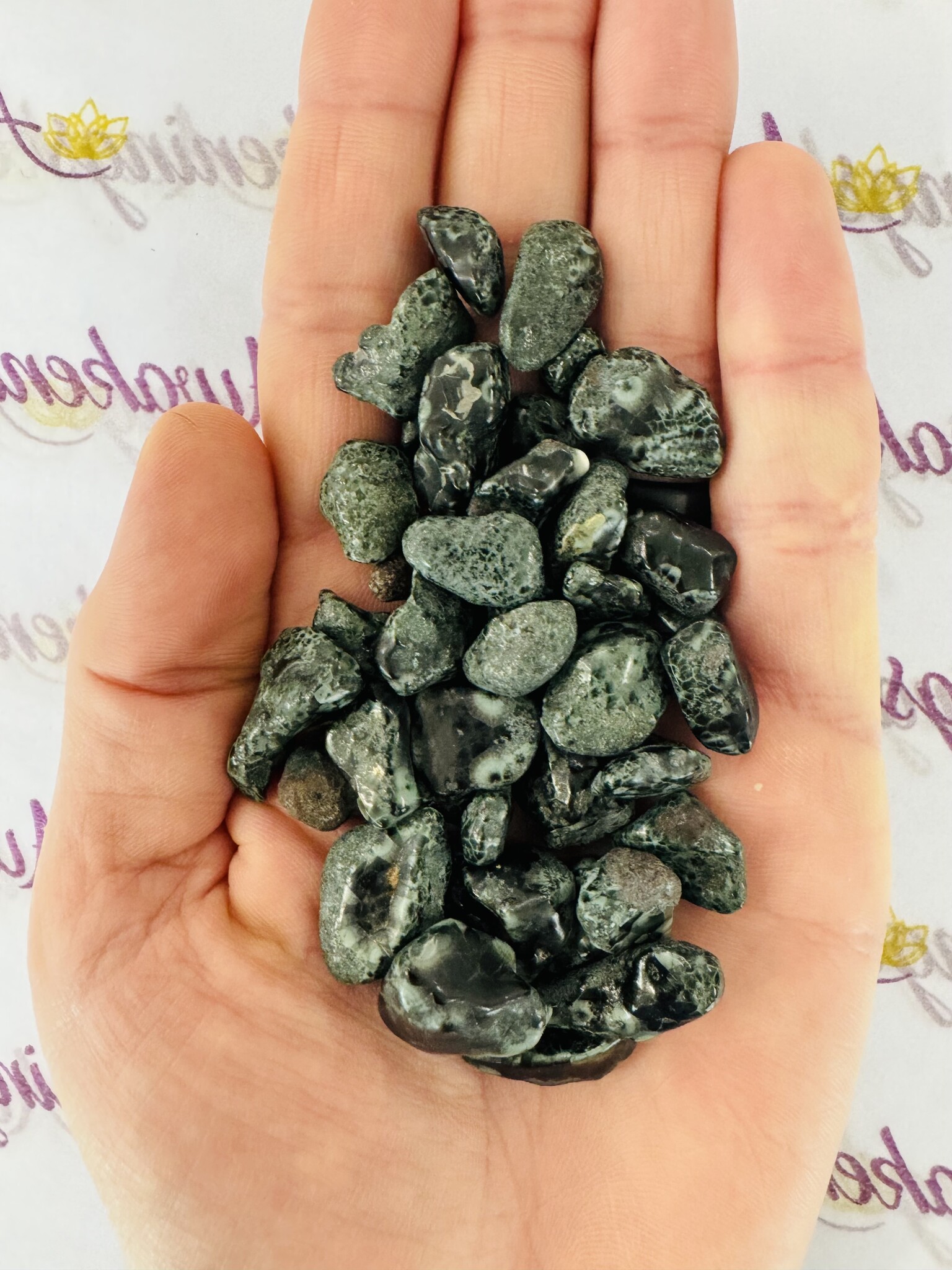 Isle Royale Greenstone (Clorastrolite) - Tumbled - Awakenings