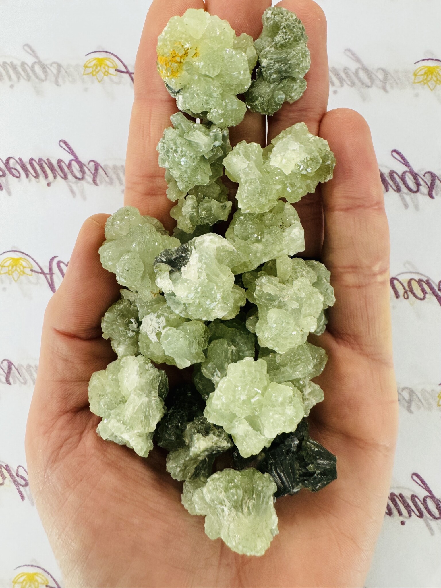 Green Prehnite Rough Raw Natural-Individually Cased - Awakenings
