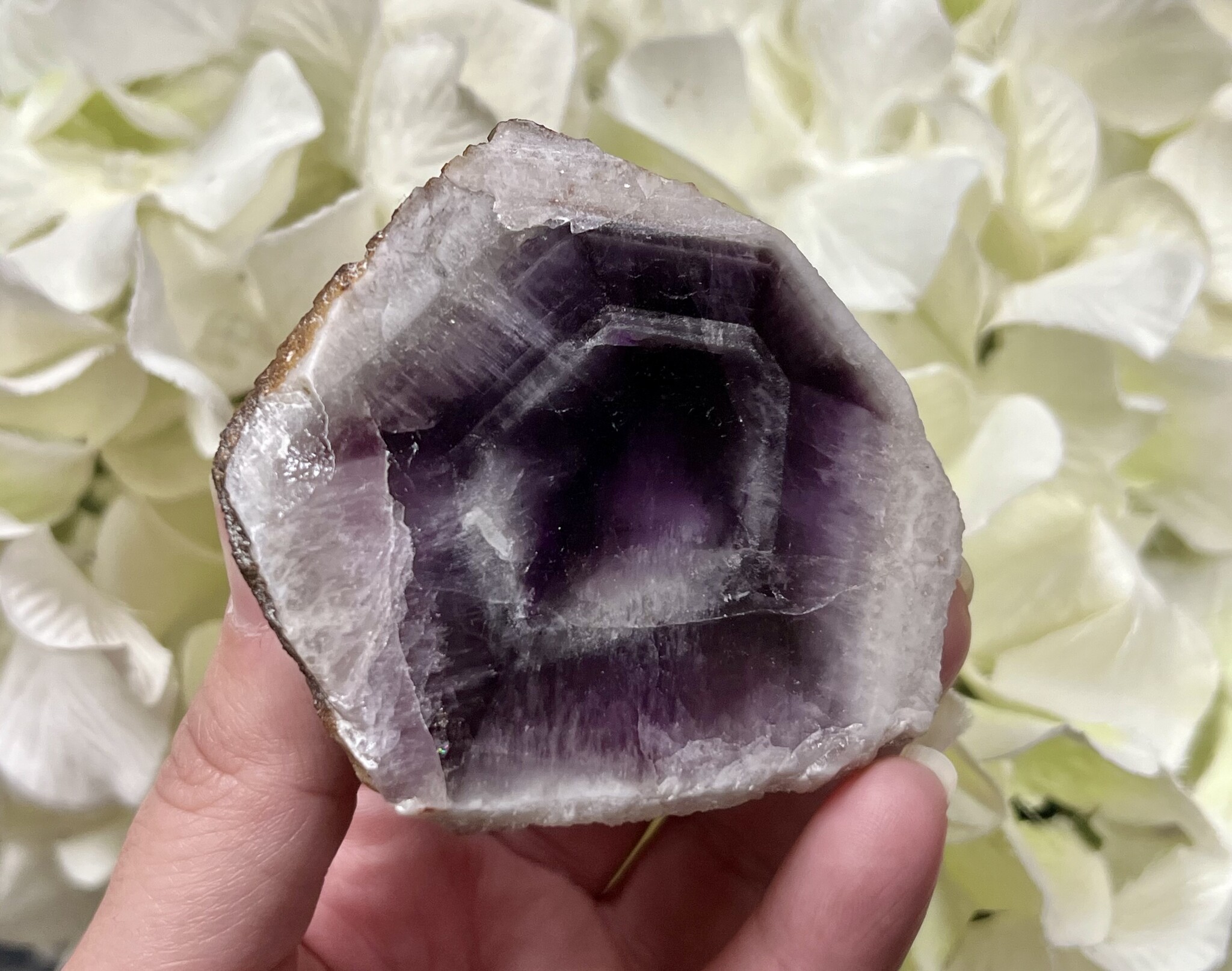 Trapiche Amethyst Point Specimen Medium - Amazon Rainforest - One ...