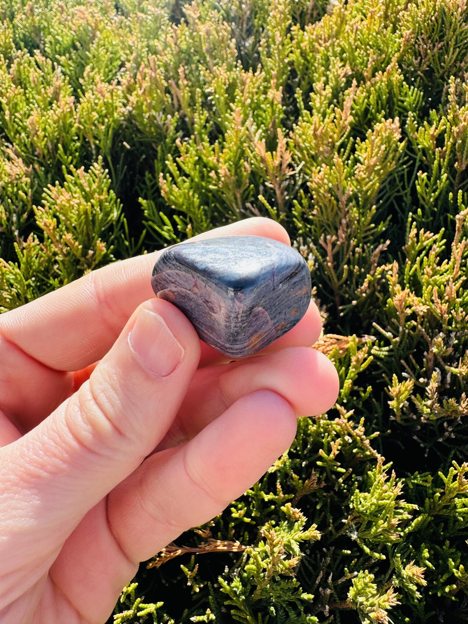 Blue Richterite w/Bustamite Tumbled Specimen - 36.58grams - Awakenings