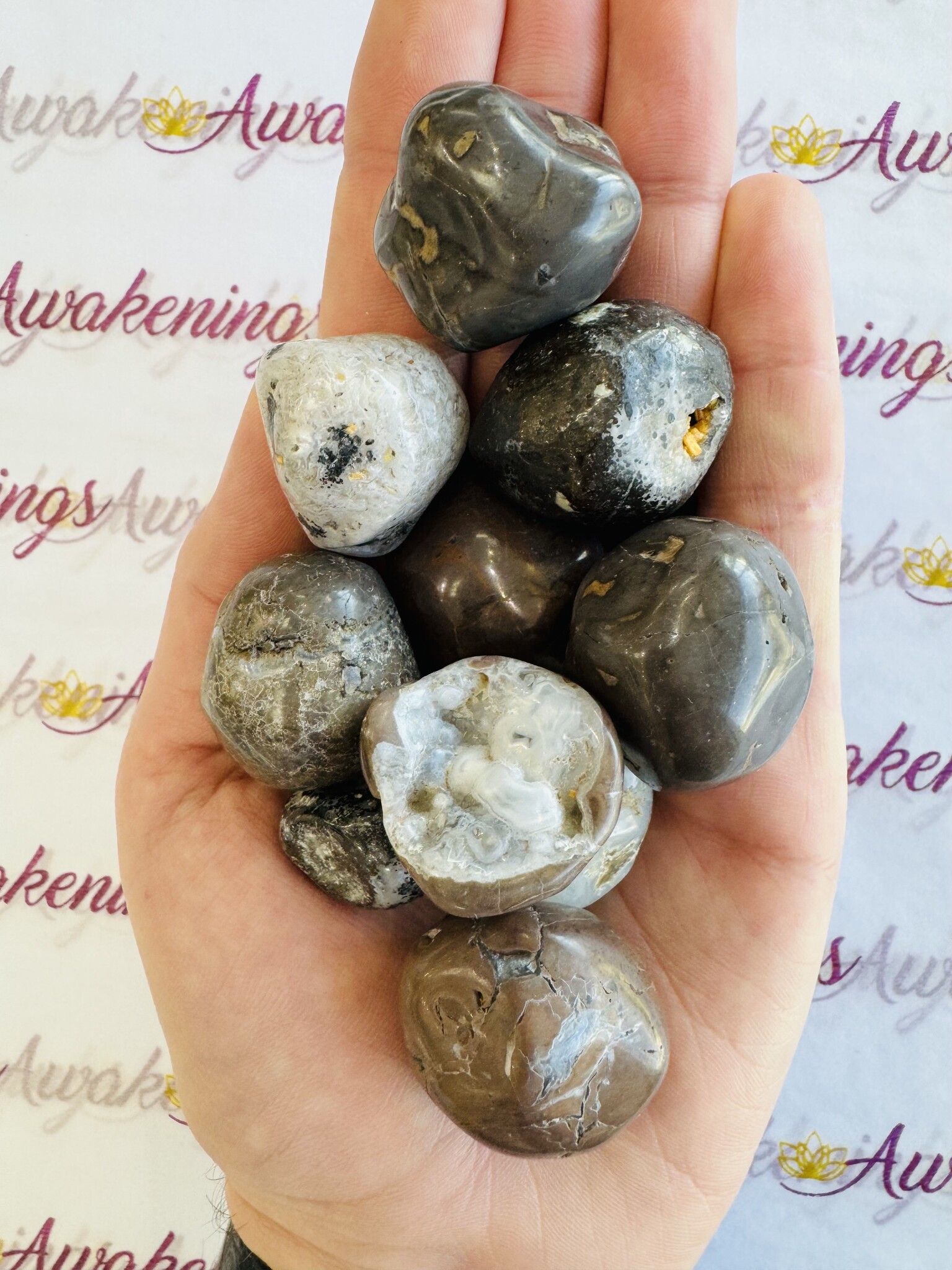 Thunderegg - Tumbled - Awakenings