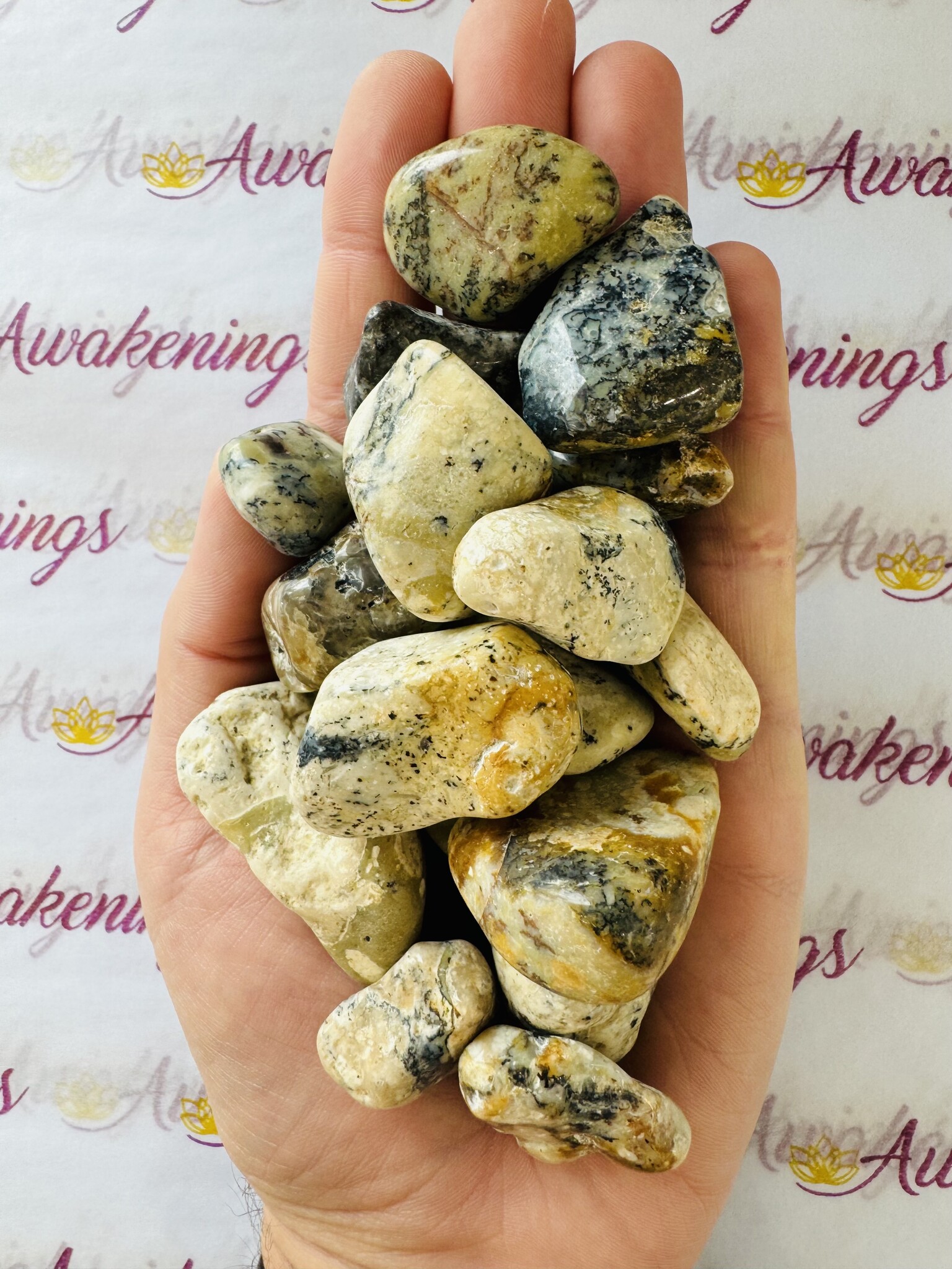 Dendritic Dendrite Opal - Tumbled - Awakenings