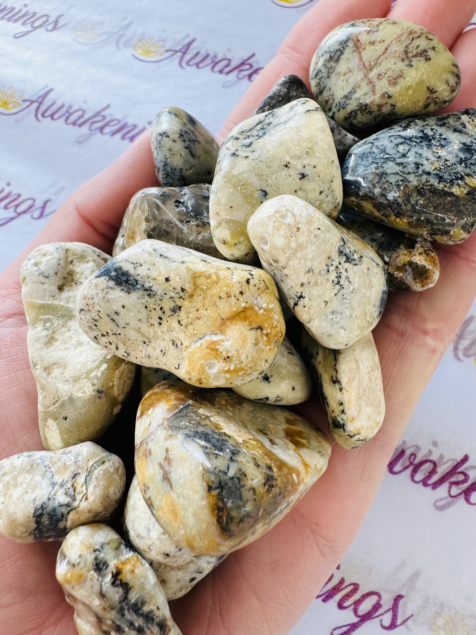 Dendritic Dendrite Opal - Tumbled - Awakenings