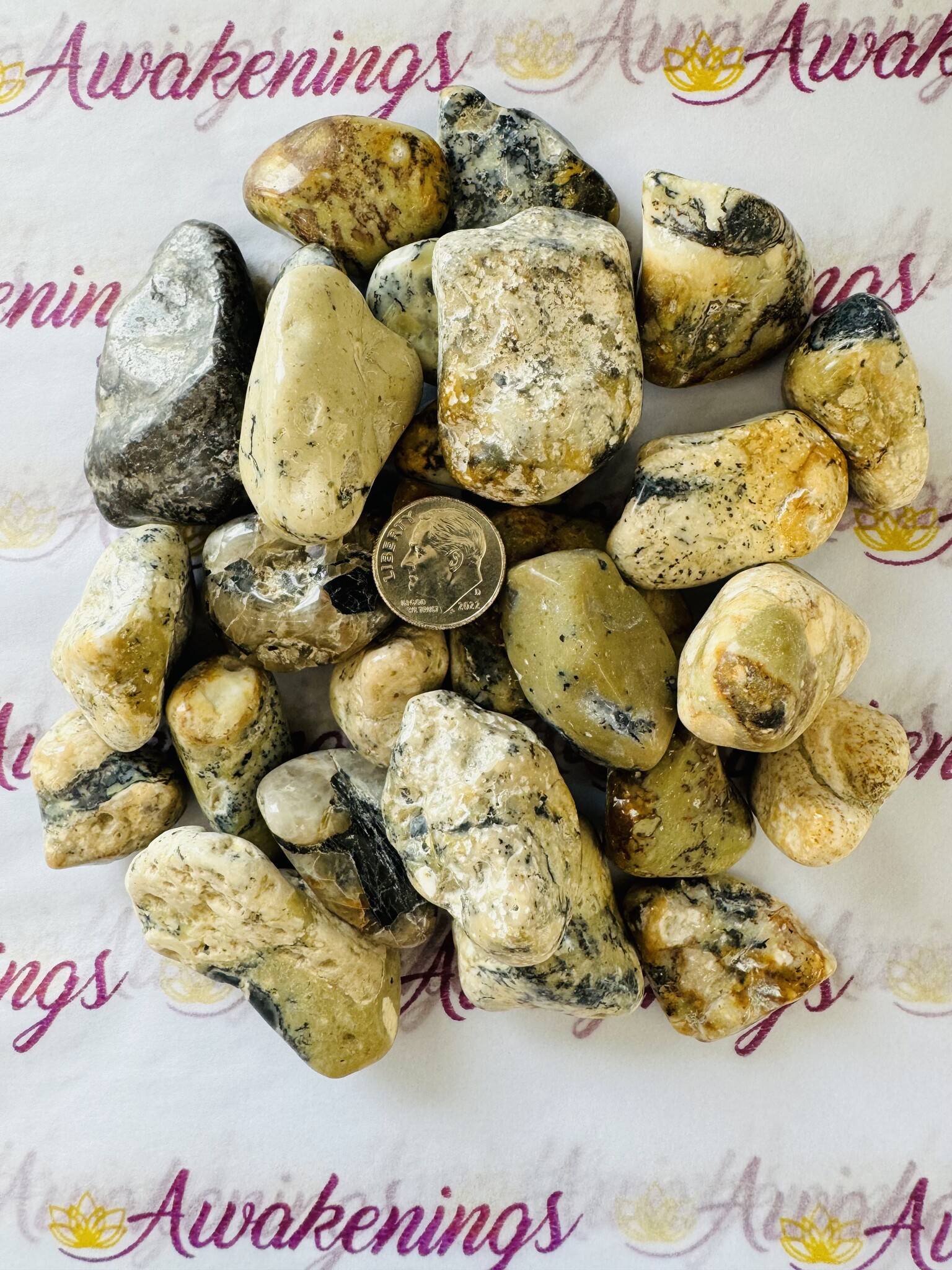 Dendritic Dendrite Opal - Tumbled - Awakenings