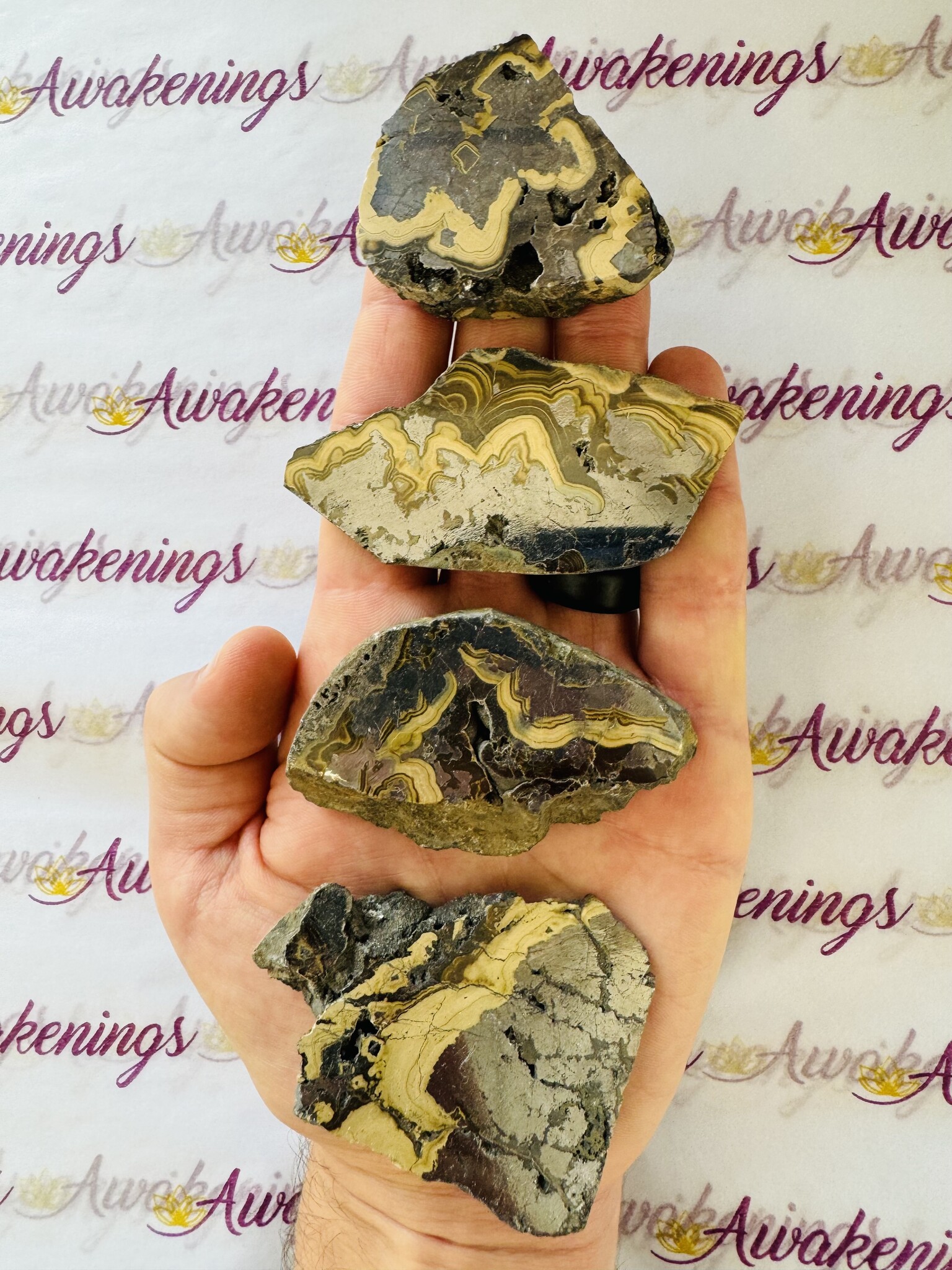 Schalendblende - Slice Slab (Galena Wurtzite Sphalerite Pyrite ...