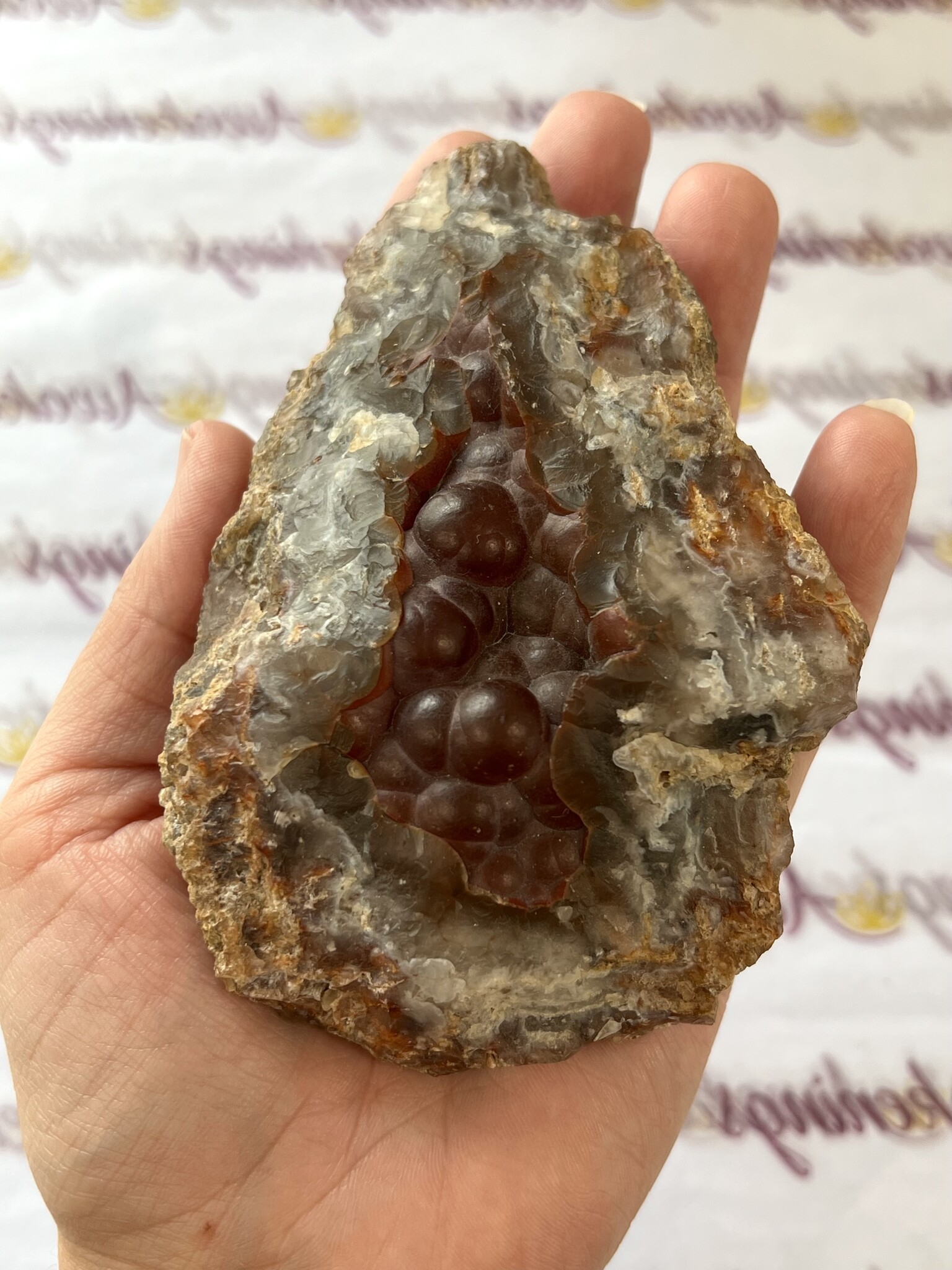 Botryoidal Prairie Agate Specimen - Rough Raw Natural - Awakenings