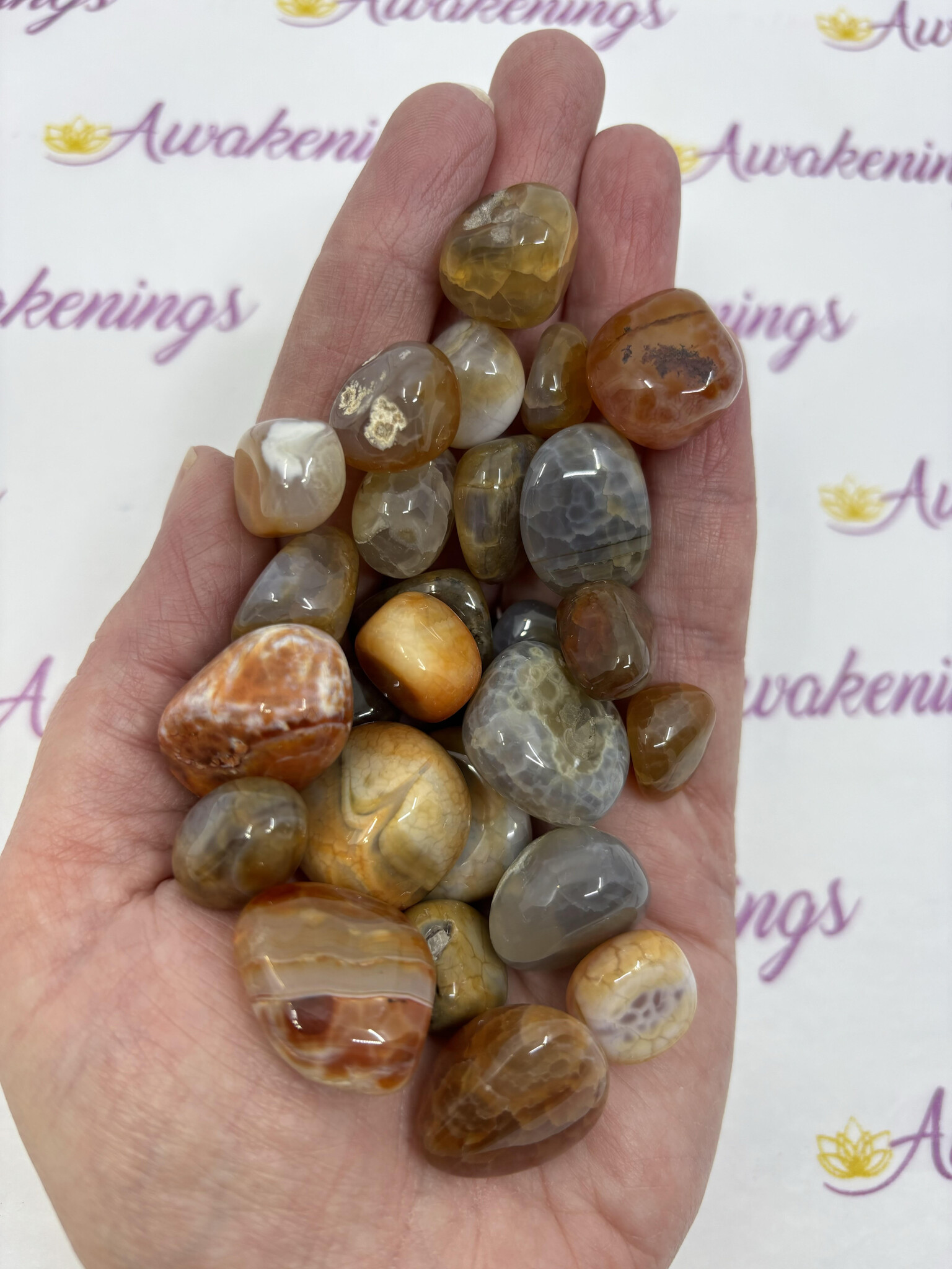 Red Fire Agate - Tumbled - Awakenings