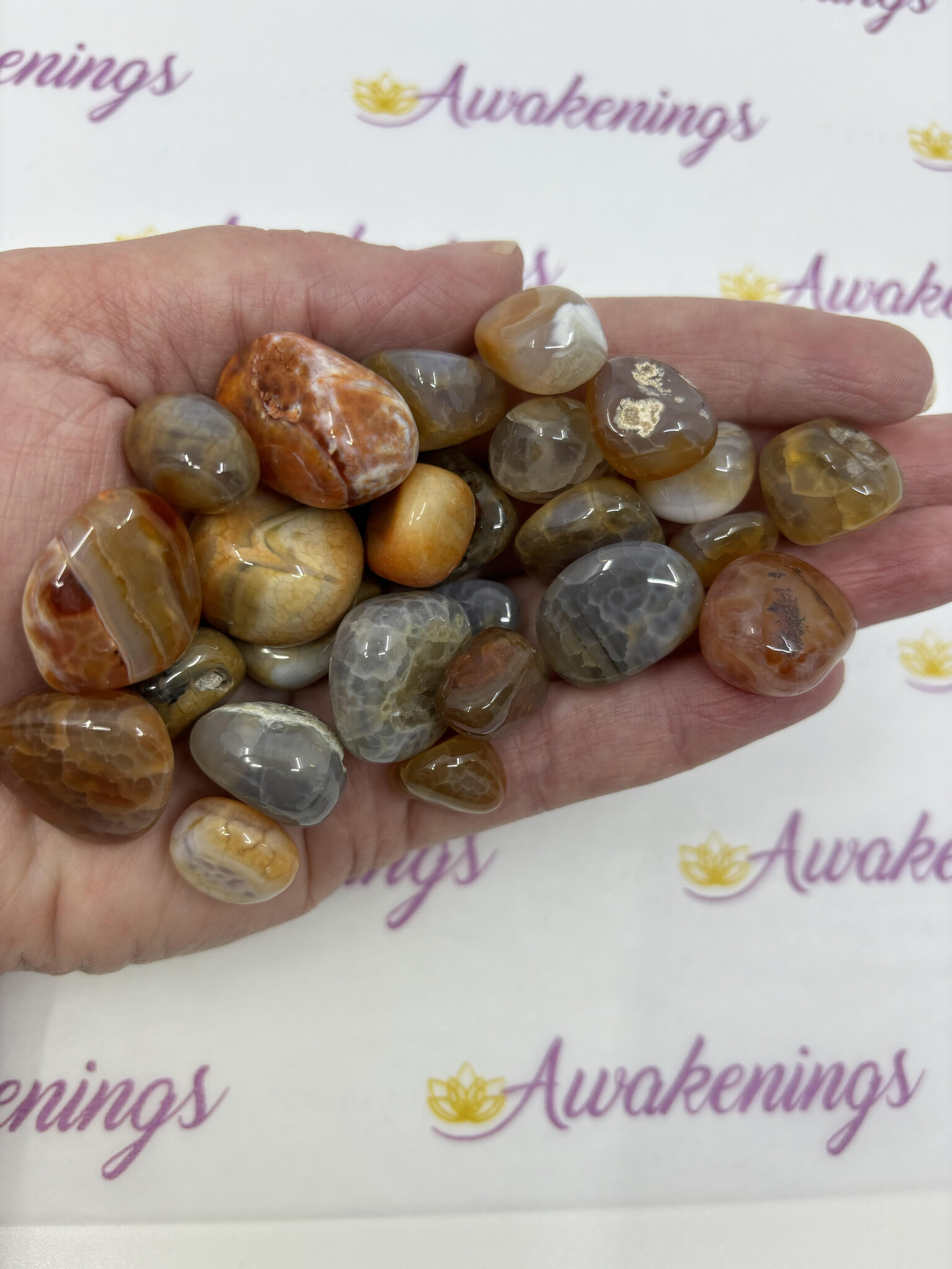 Red Fire Agate - Tumbled - Awakenings