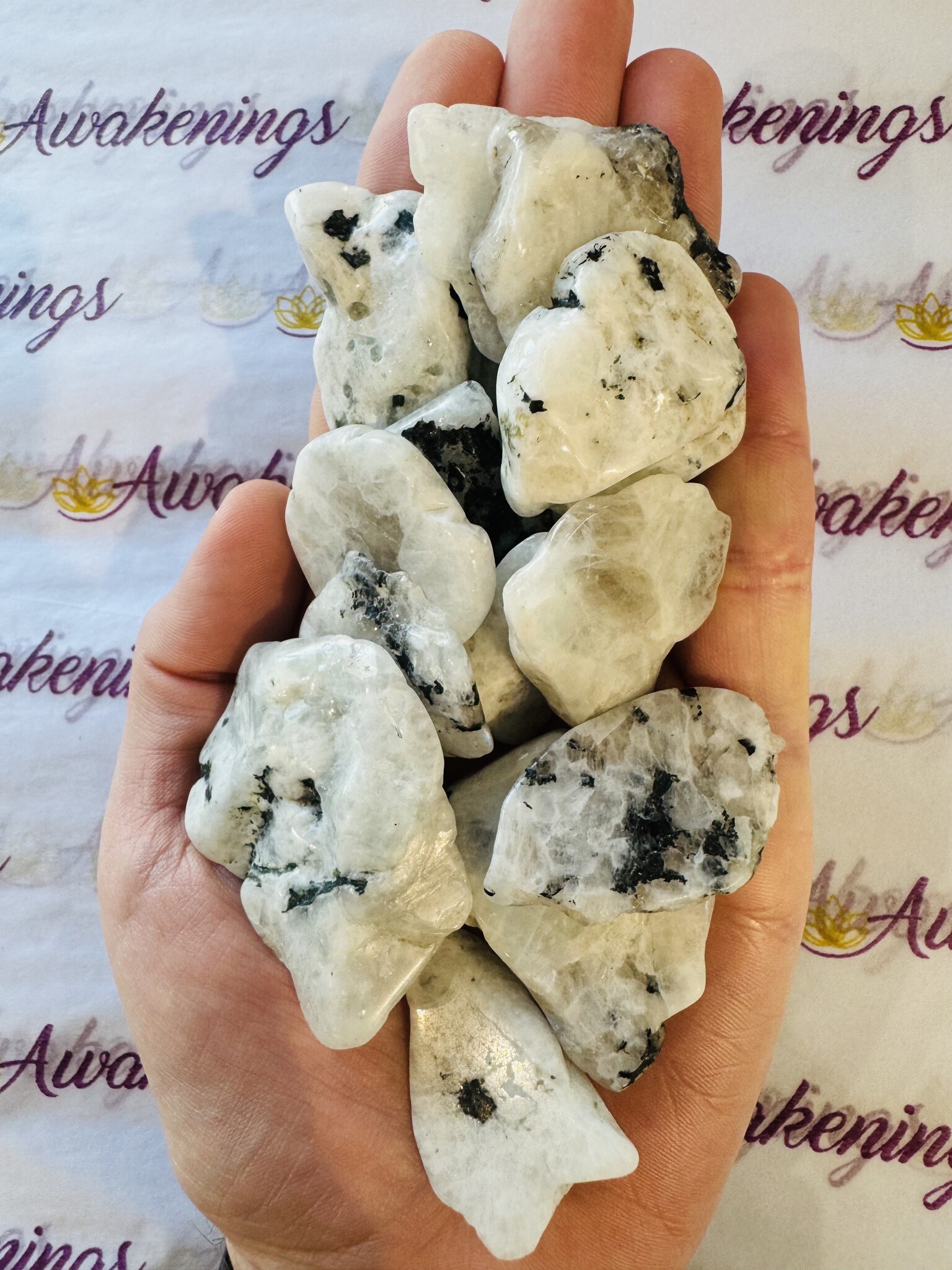 Rainbow Moonstone Slice - Small Slab Flat - Awakenings