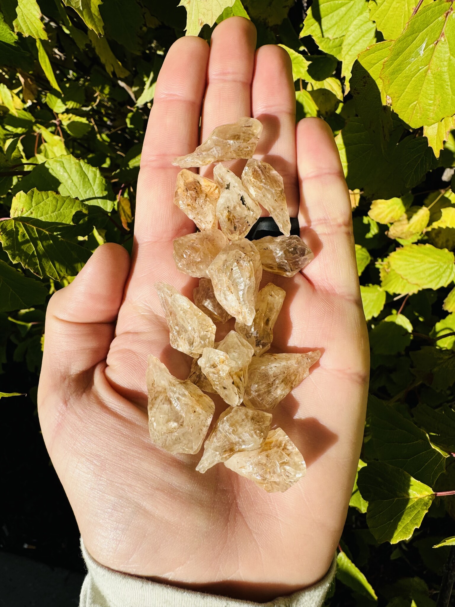 Goethite (Limonite) in Quartz Points - Rough Raw Natural - Awakenings