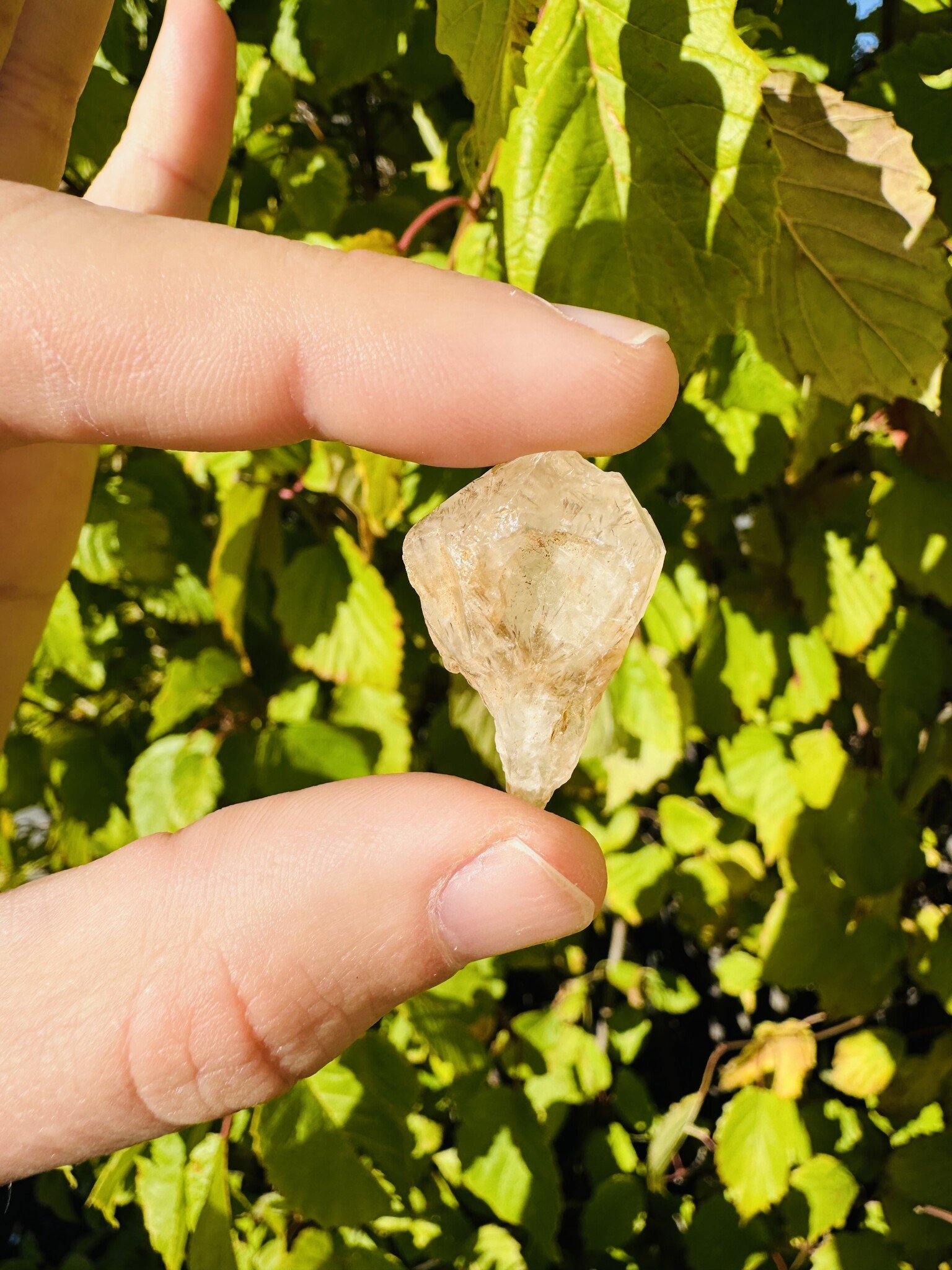 Goethite in Quartz Point - Awakenings